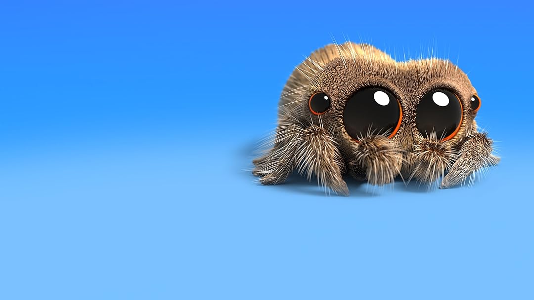 Prime Video: Lucas the Spider Shorts: Meet the Boop Troop, Season 1