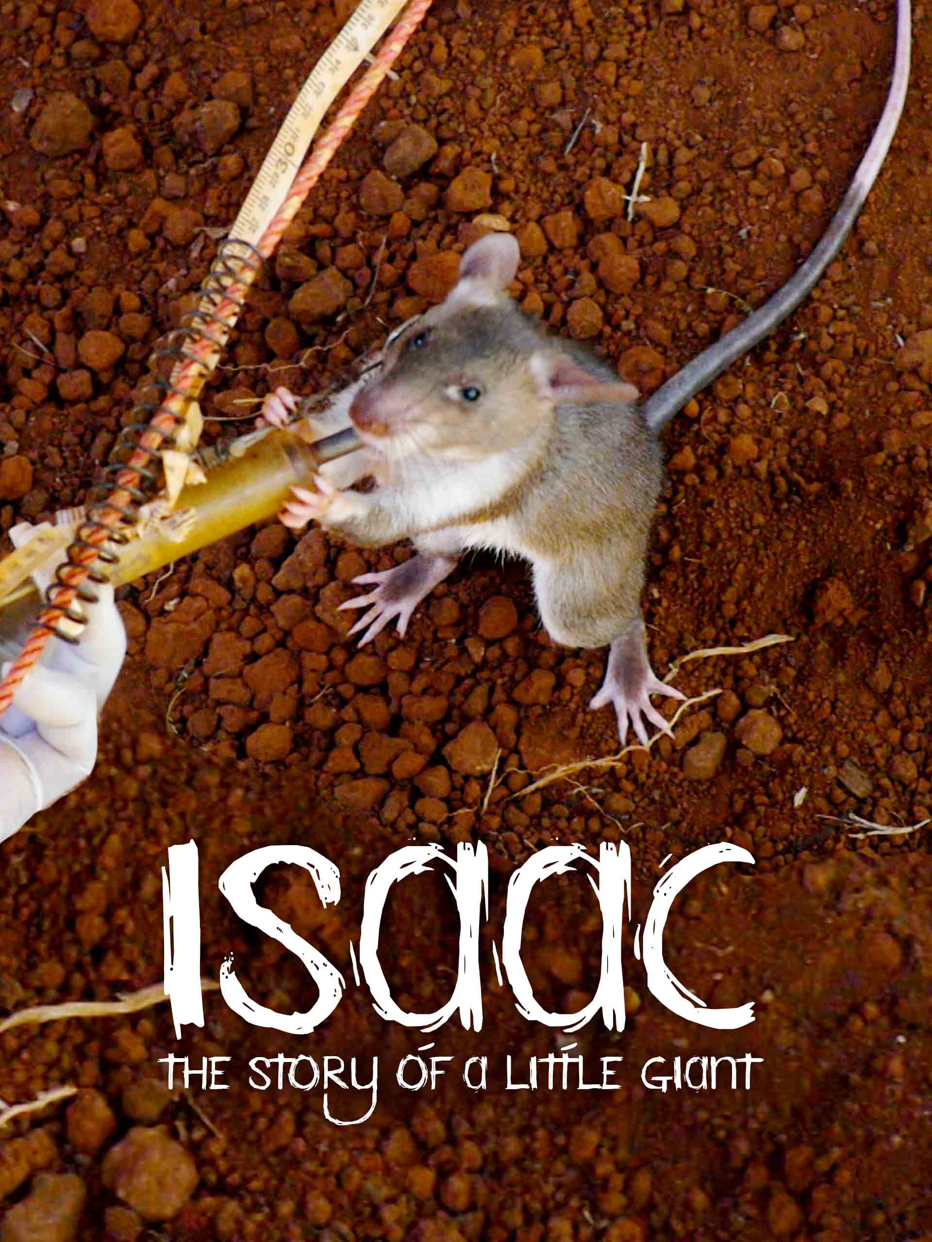 Prime Video: Isaac. The Story of a Little Giant