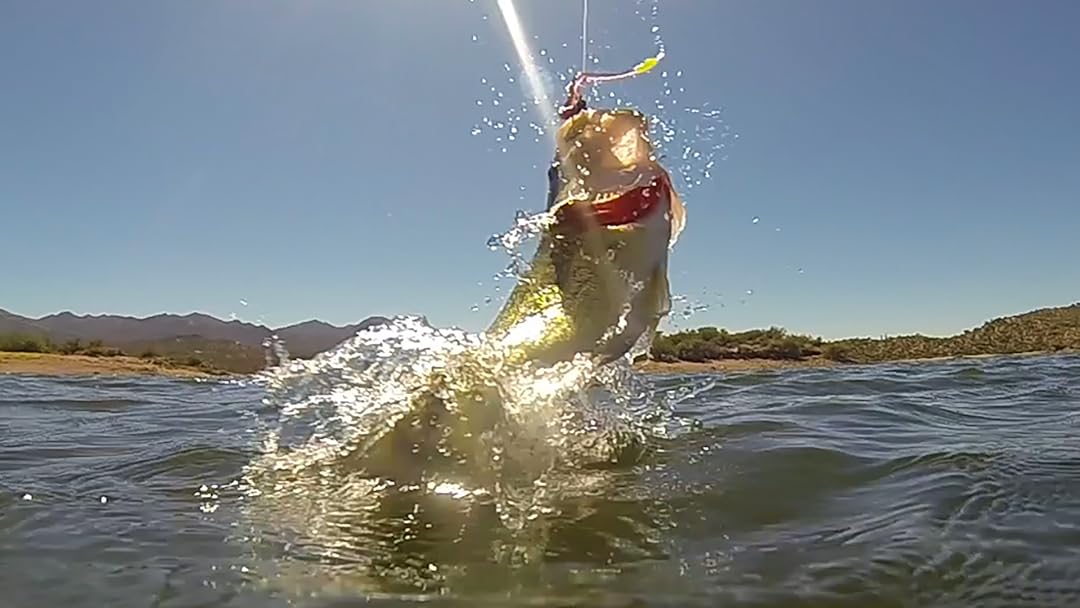 Watch Fishing with Gary Senft | Prime Video