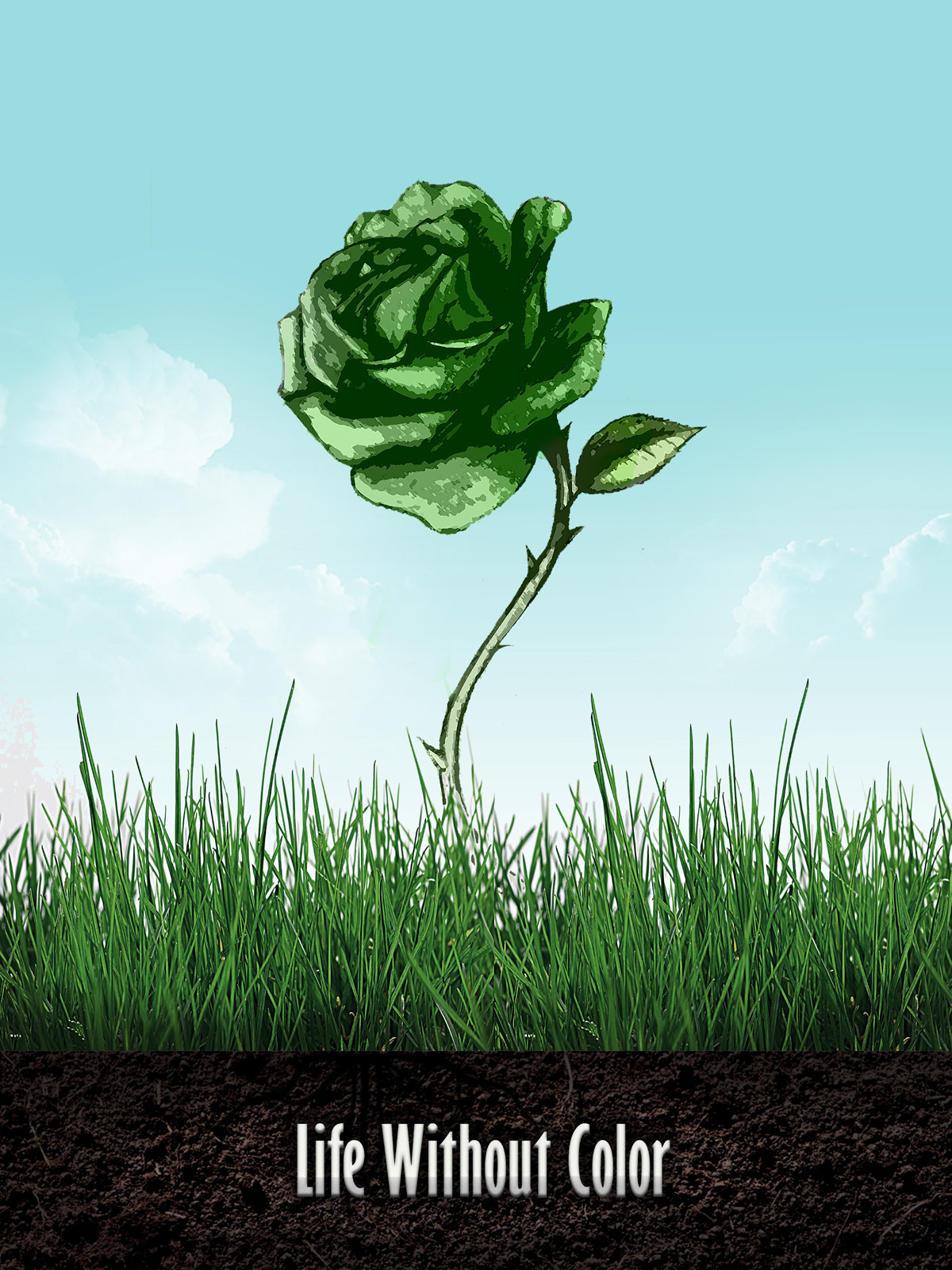 Prime Video: Life Without Color