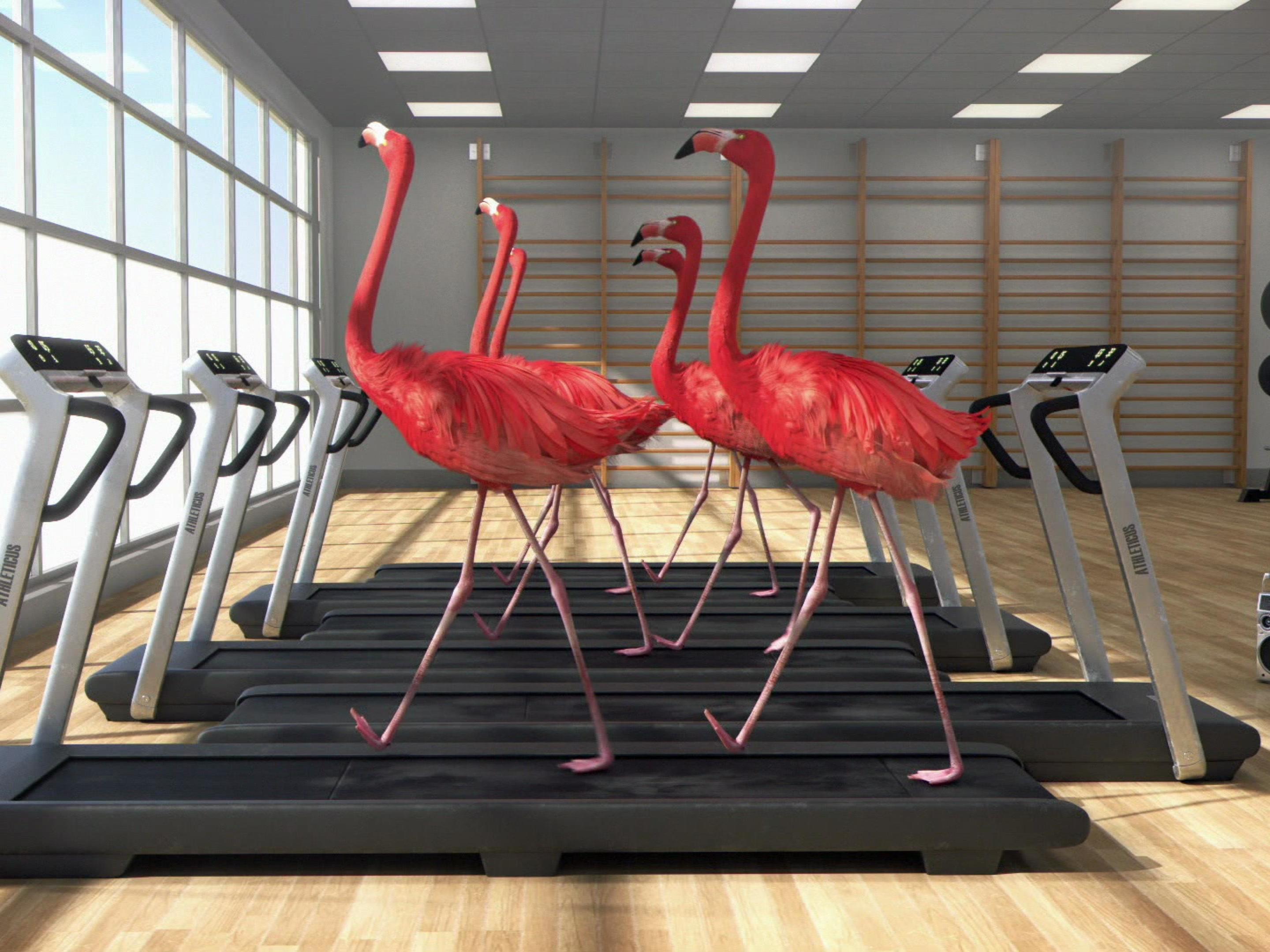 Prime Video: Athleticus Season 1