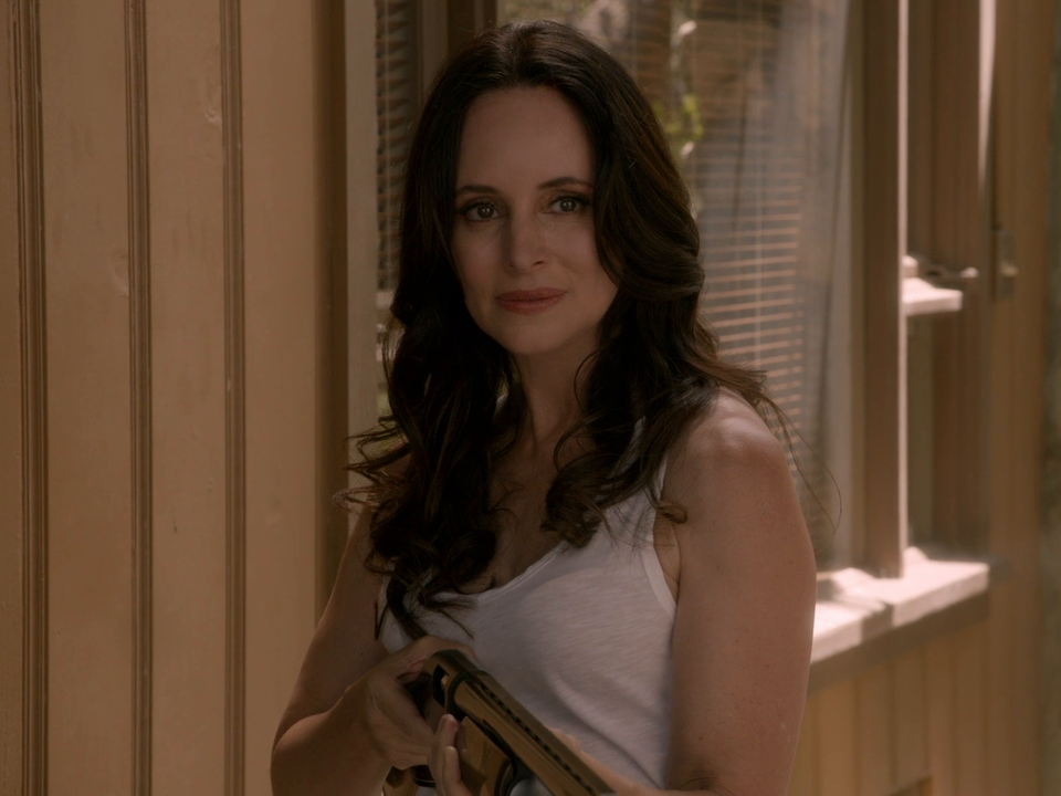 Prime Video: Revenge