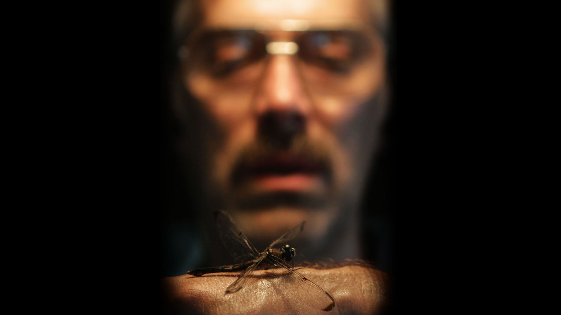 Watch Kill Jar | Prime Video