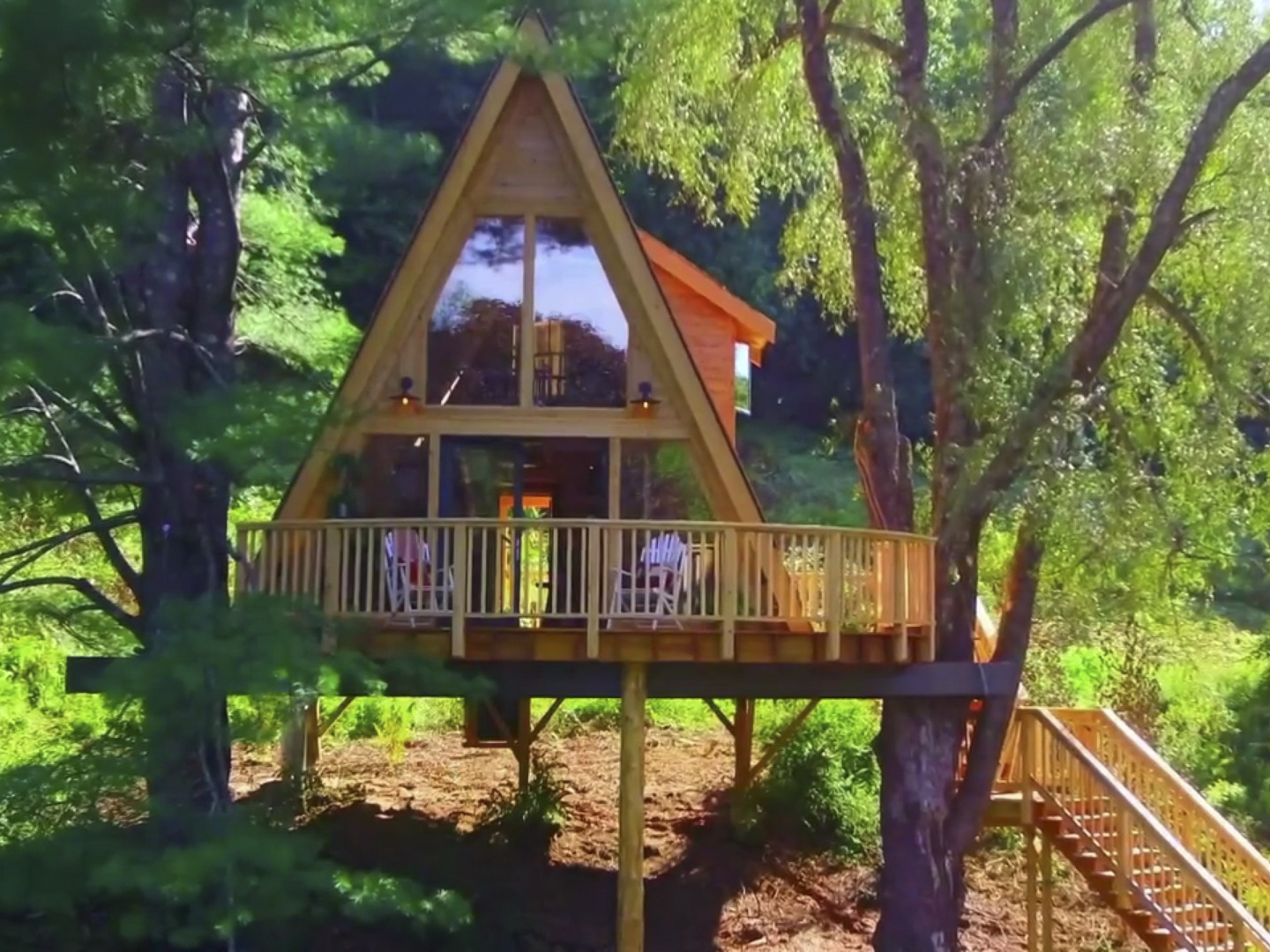 Prime Video: Treehouse Masters - Season 11