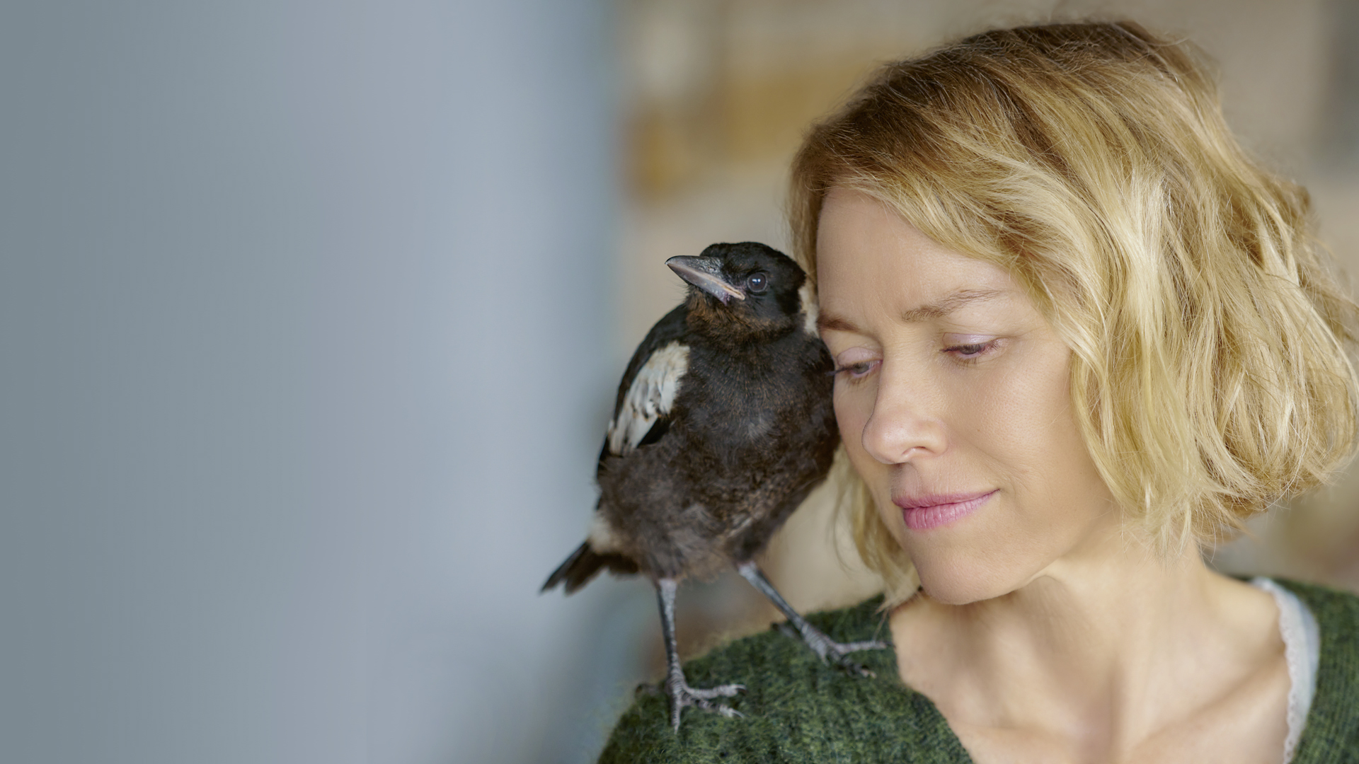 Prime Video: La familia Bloom