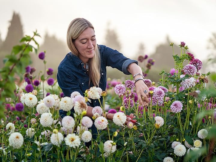 Prime Video: Growing Floret - Season 1