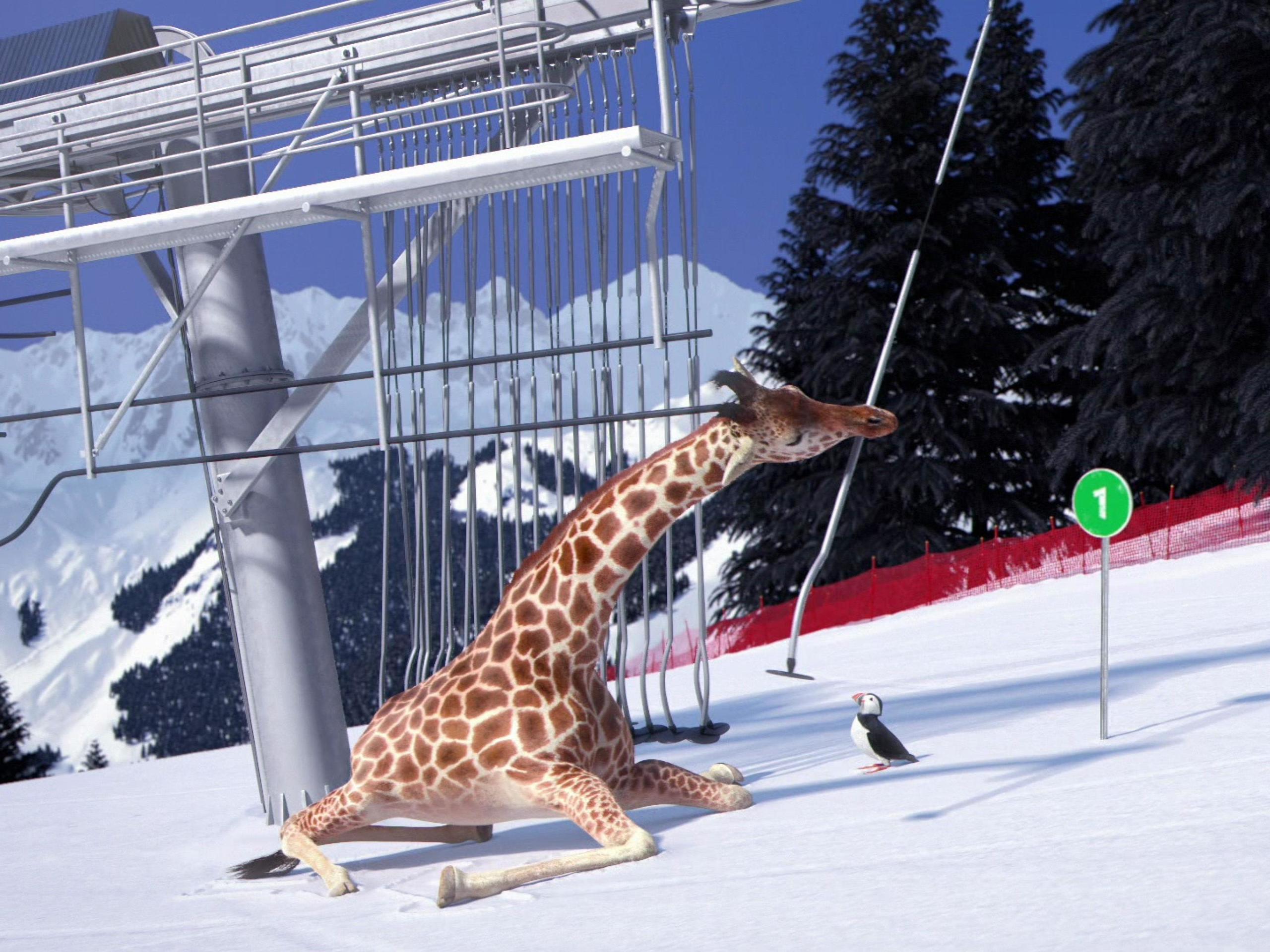 Prime Video: Athleticus Season 2