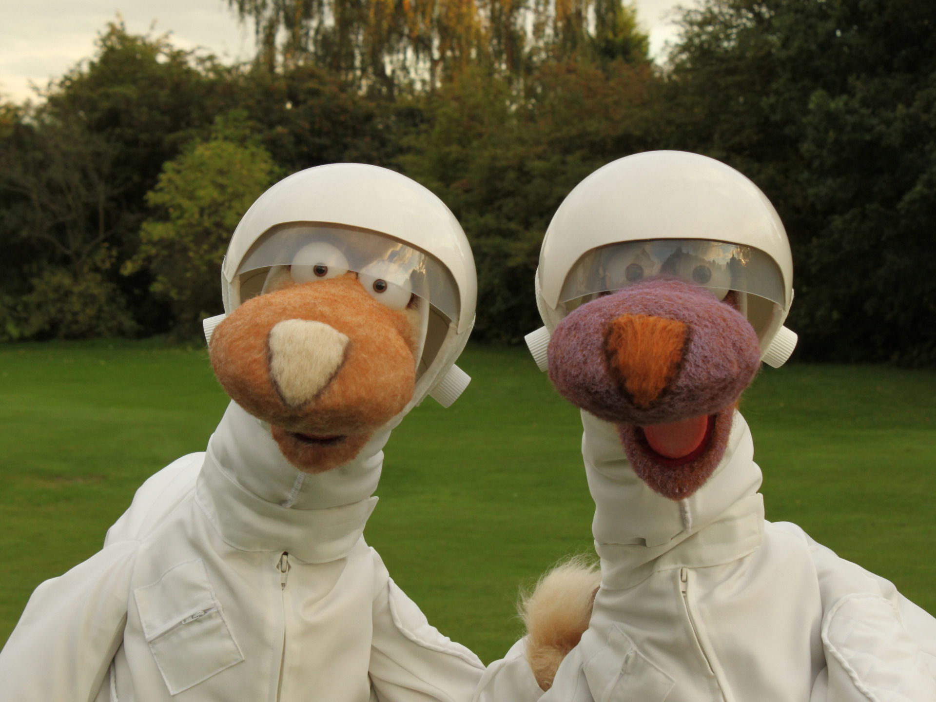 Prime Video: Nuzzle & Scratch - Frock n Roll