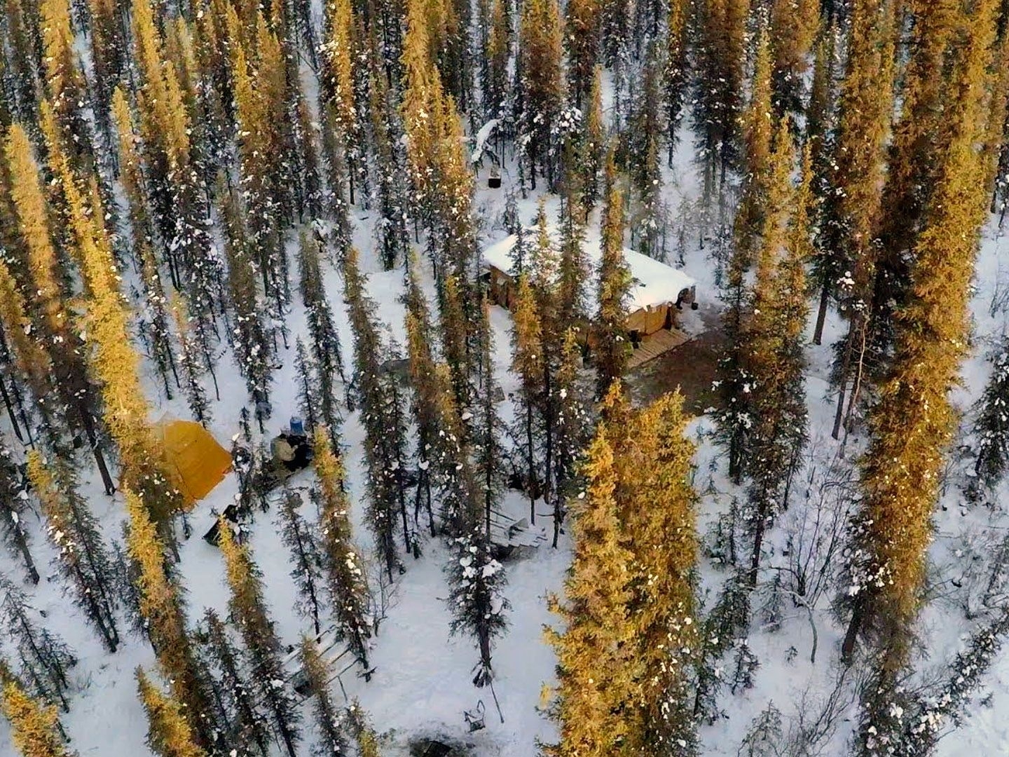 Prime Video: The Last Alaskans - Season 1