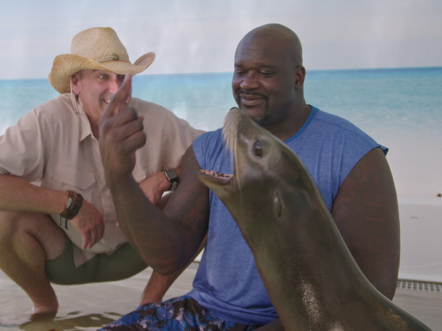 Prime Video: Shark Week - Season 2018