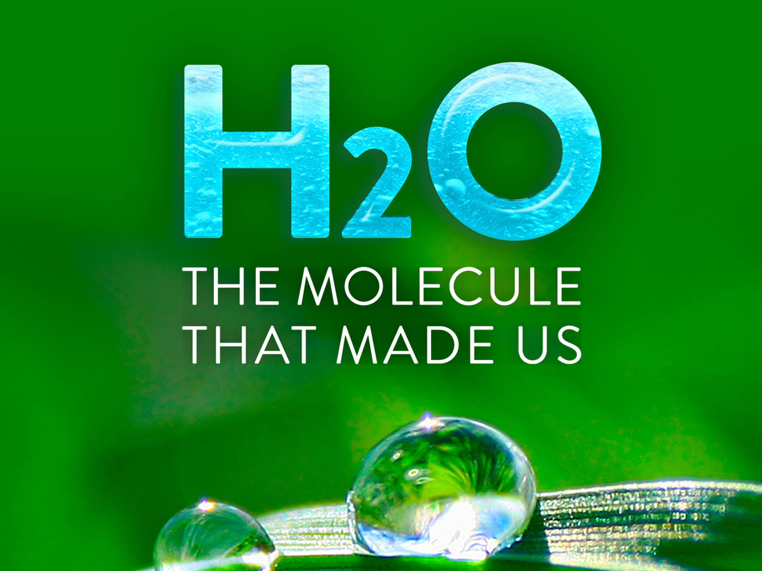 Prime Video: H20: The Molecule That Made Us