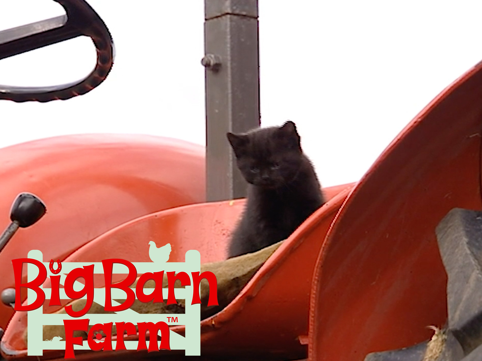 Prime Video: Big Barn Farm