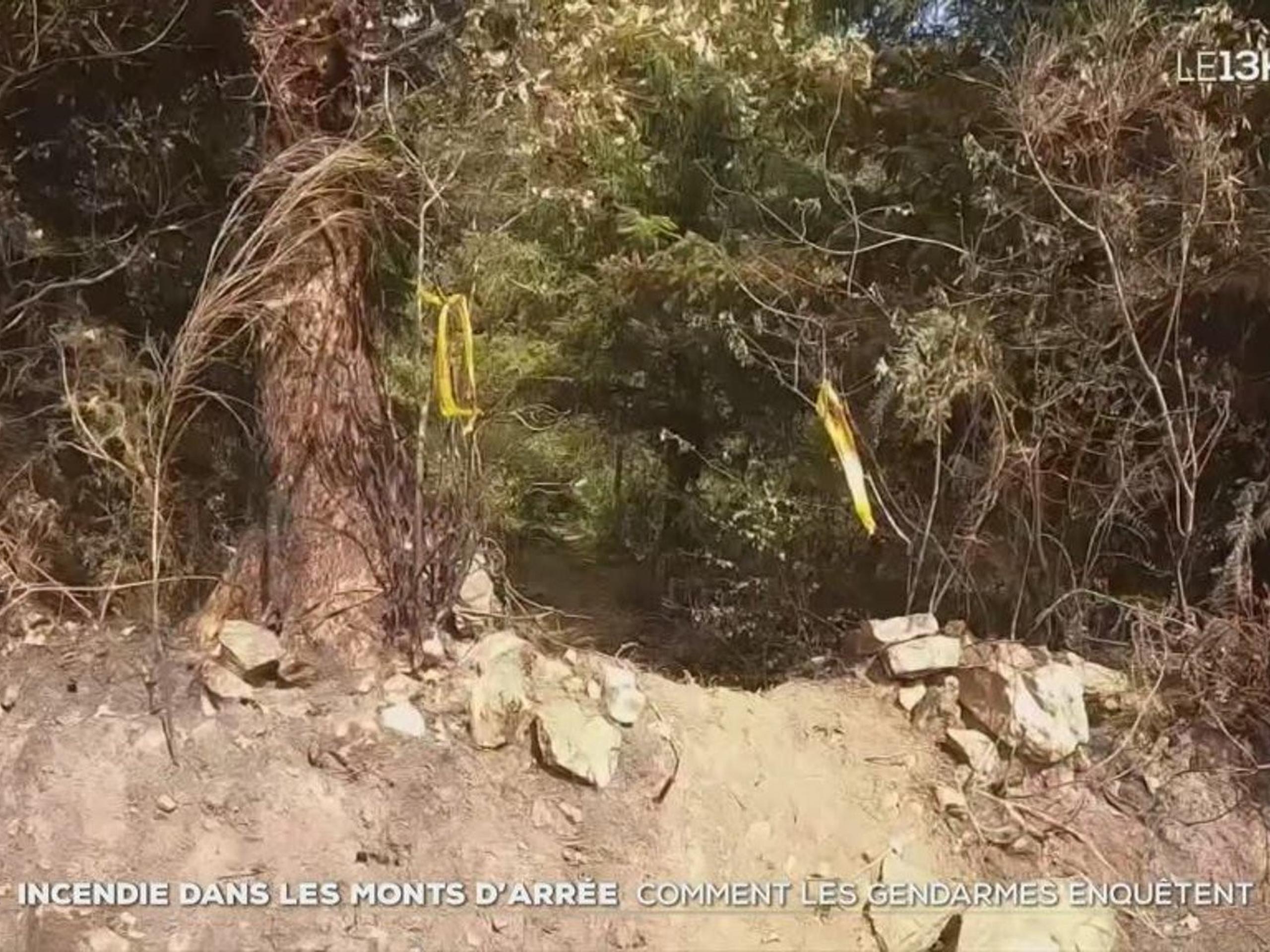 Prime Video: Le Journal du week-end - Saison 41