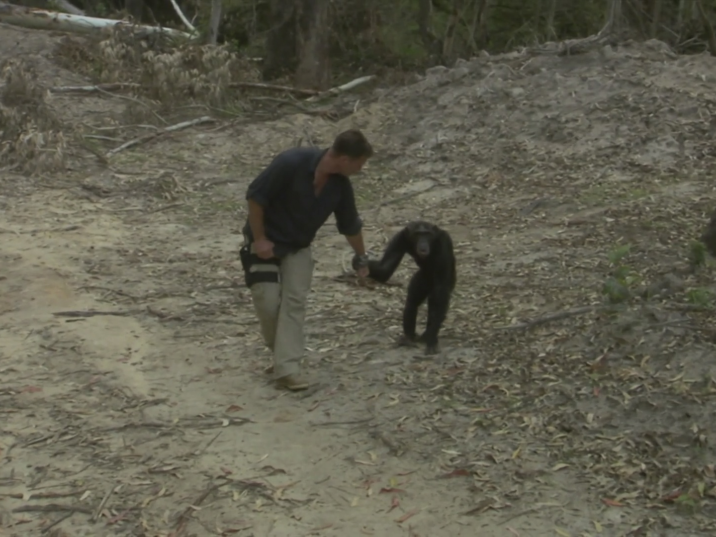 Prime Video: Escape to Chimp Eden - Season 2