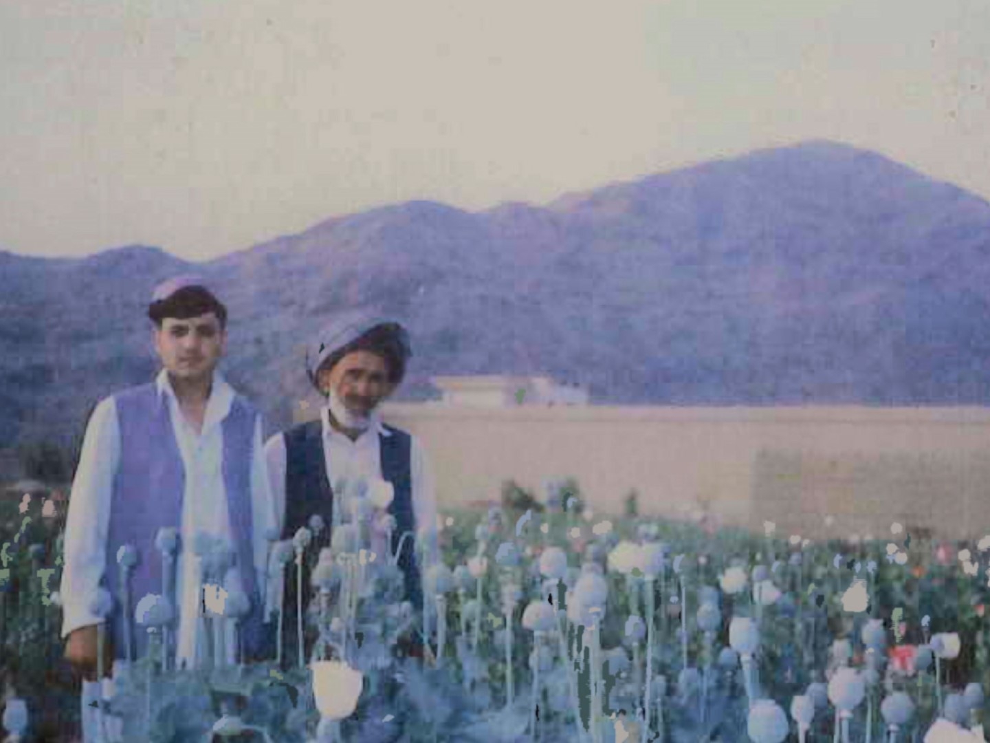 Prime Video: Declassified - Season 2