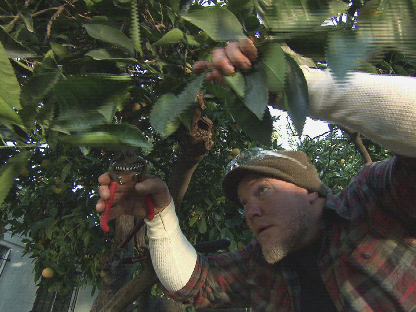 Prime Video: Yardcore - Season 1