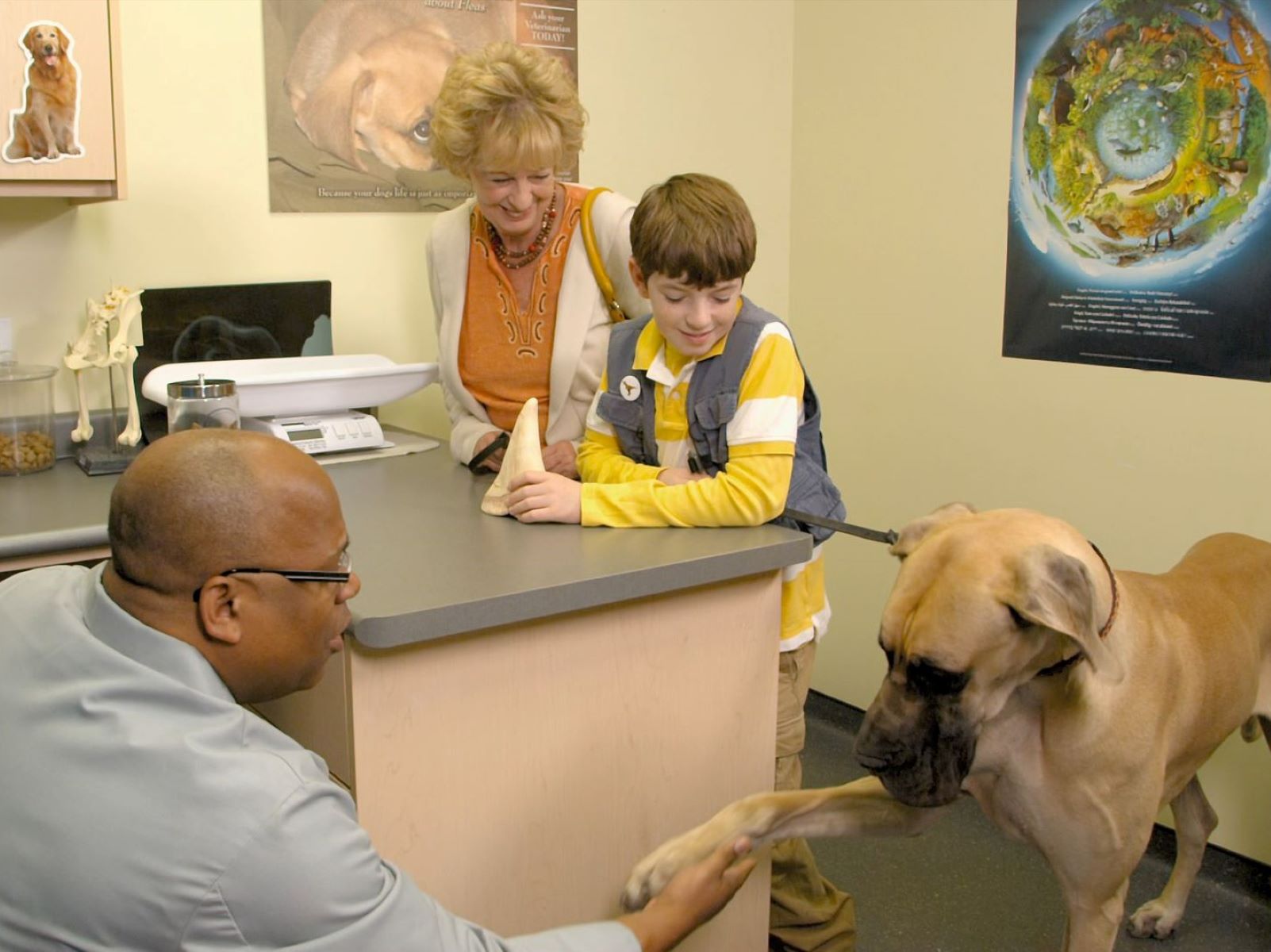 Prime Video: Dino Dan: Trek's Adventures