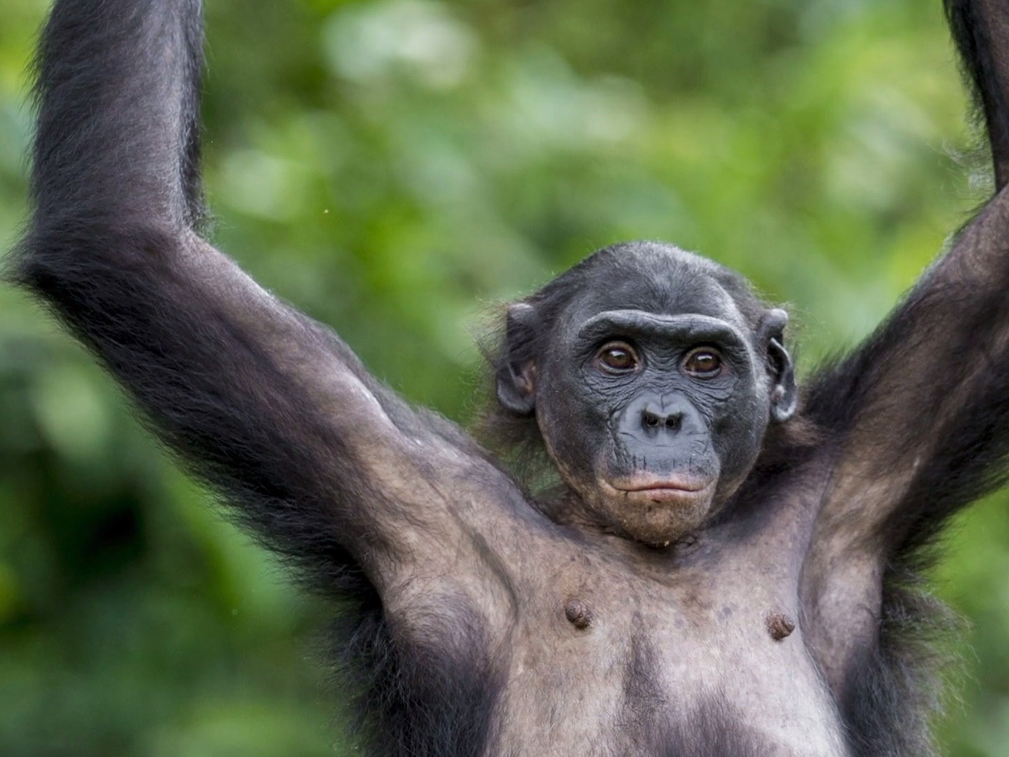 Prime Video: I Was Prey - Season 1