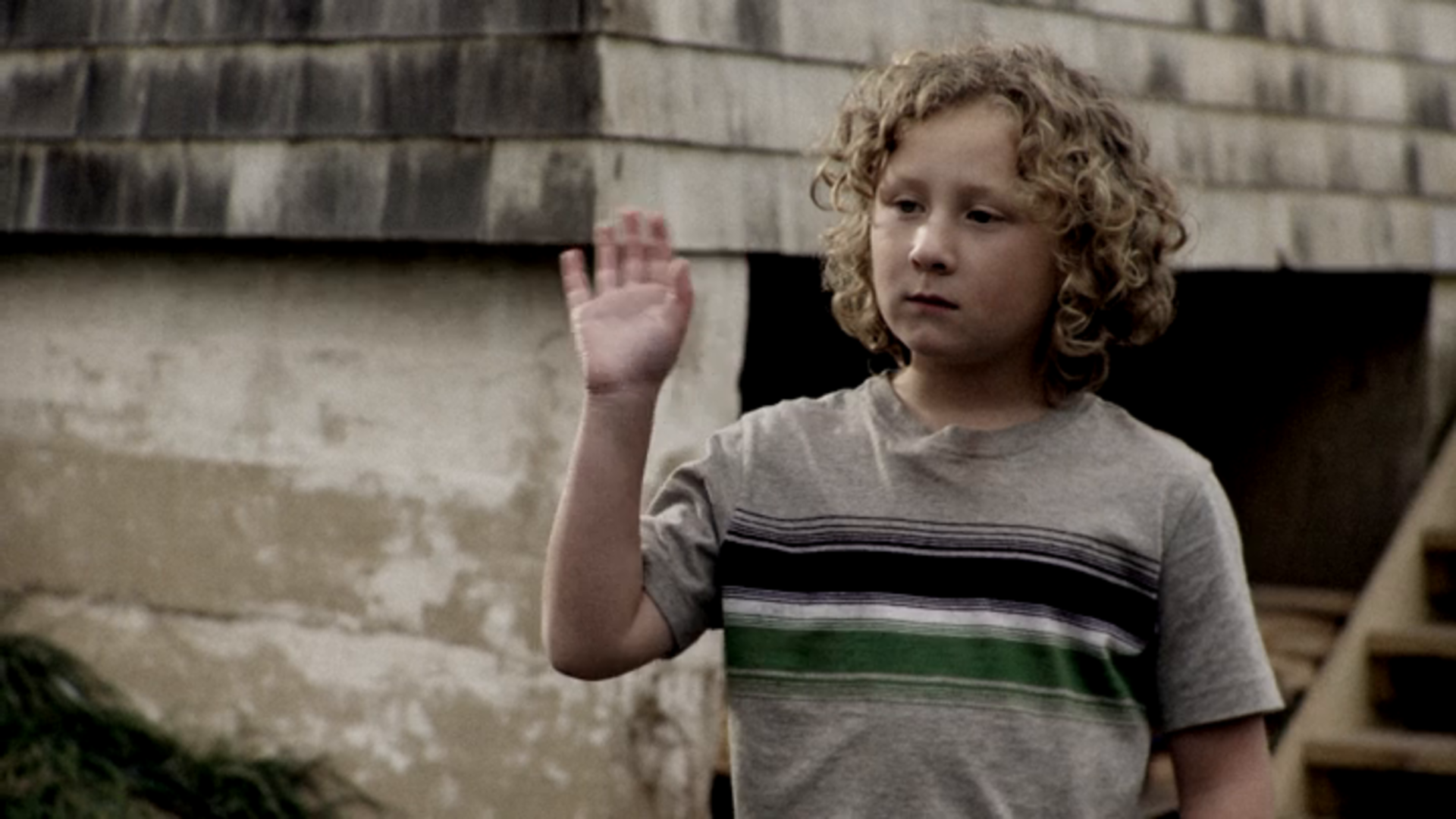 Prime Video: The Fields