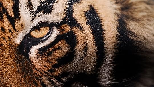 Watch Living with Maneaters - Season 1 | Prime Video