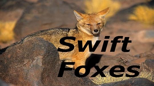 Watch Swift Foxes | Prime Video