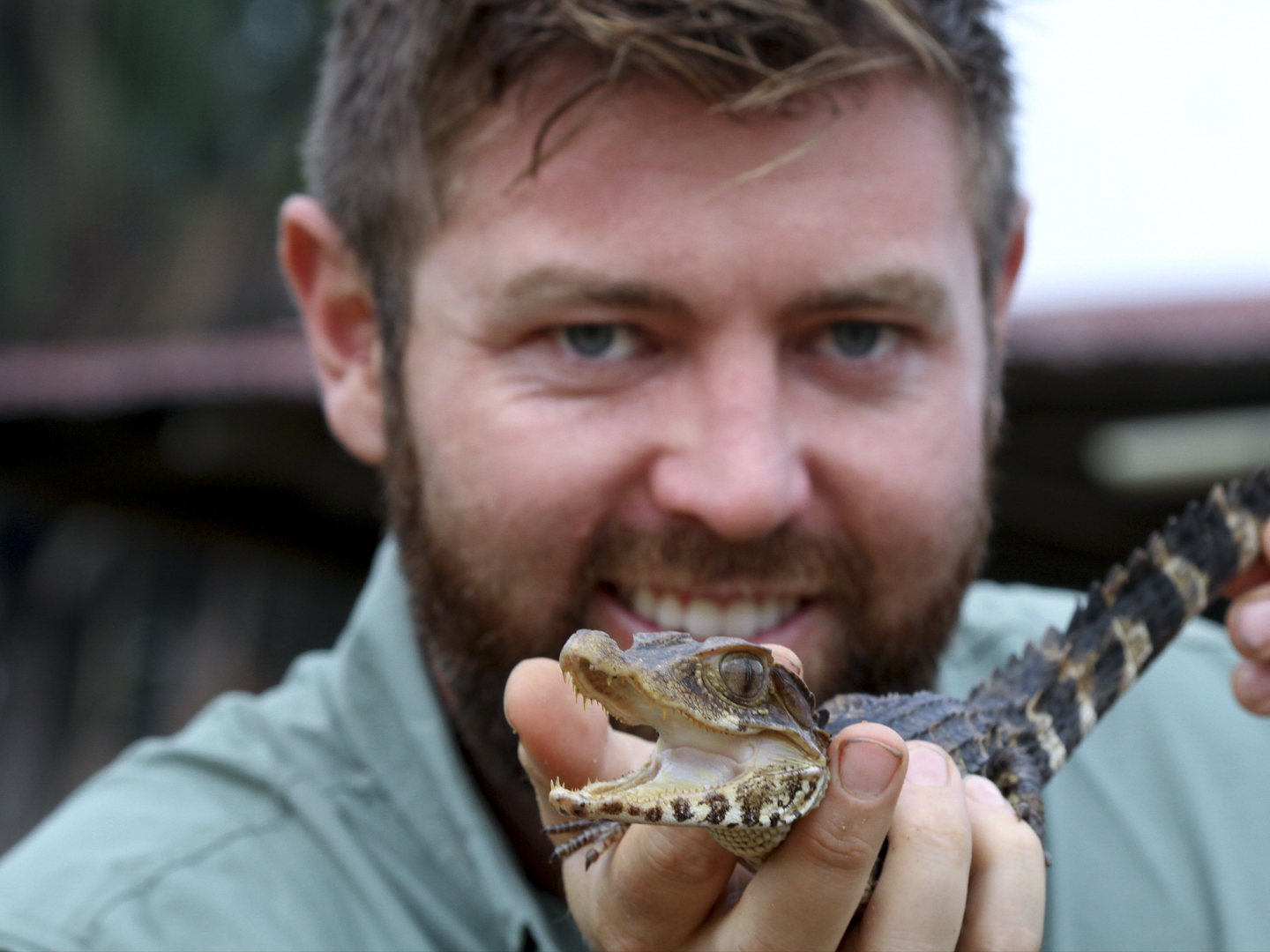 Prime Video: Extinct or Alive - Season 2