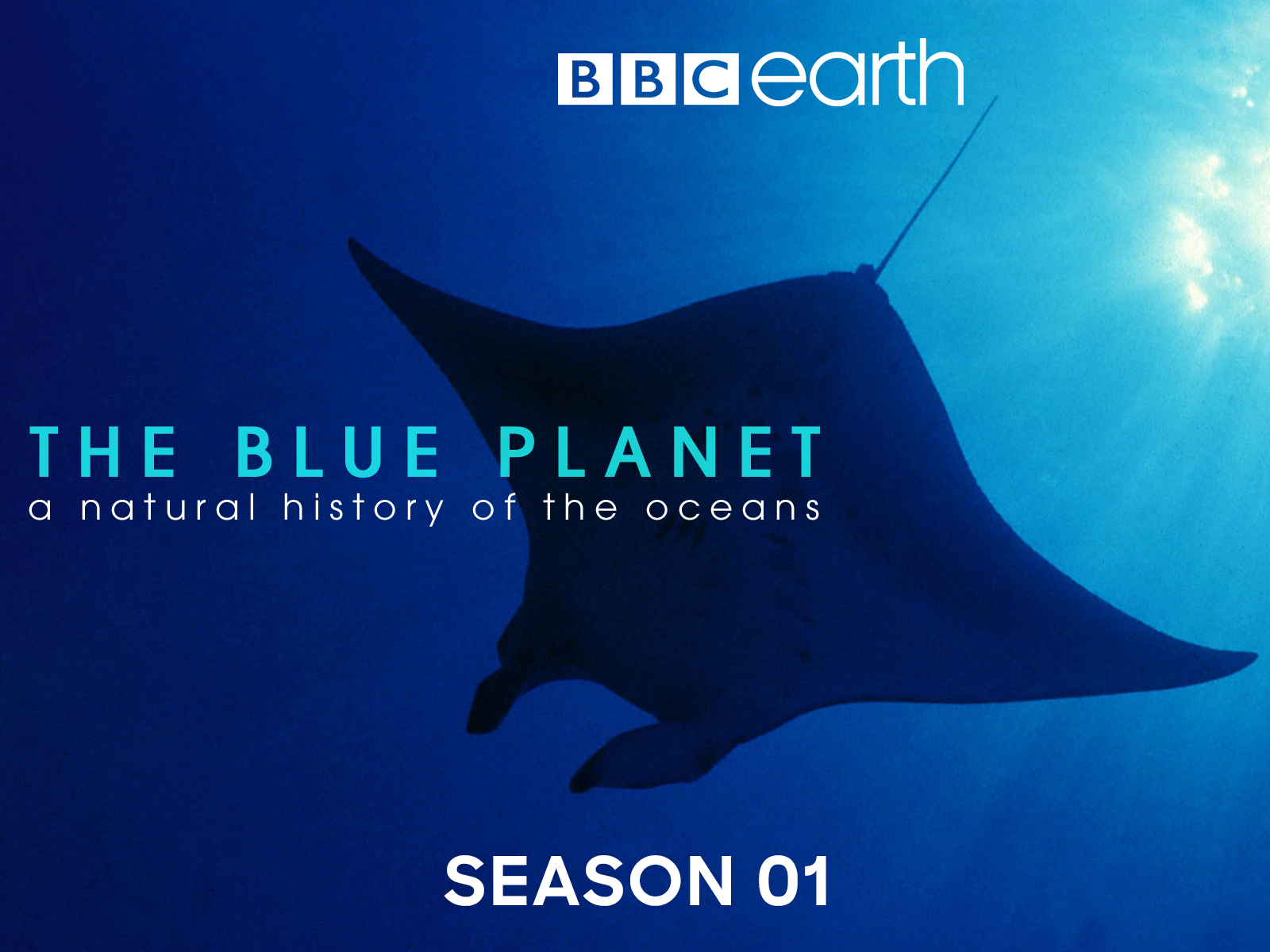 Prime Video: Blue Planet - Season 1