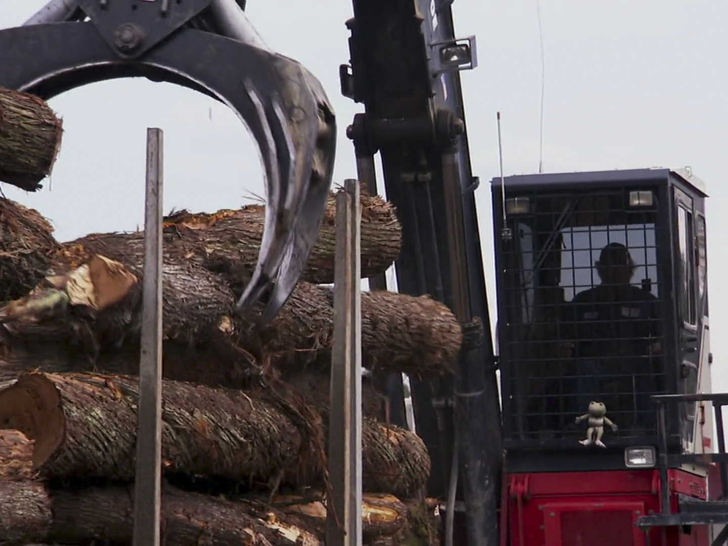 Prime Video: American Loggers - Season 3