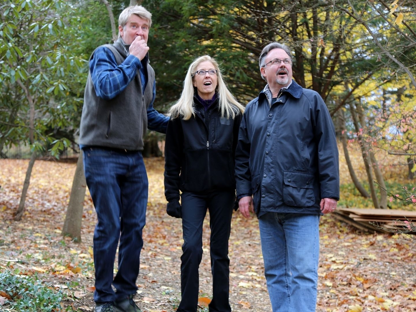 Prime Video: Treehouse Masters - Season 6