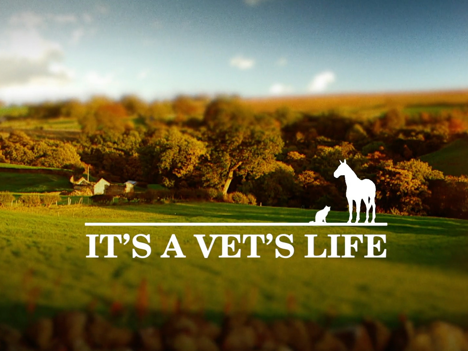 Prime Video: It's A Vet's Life