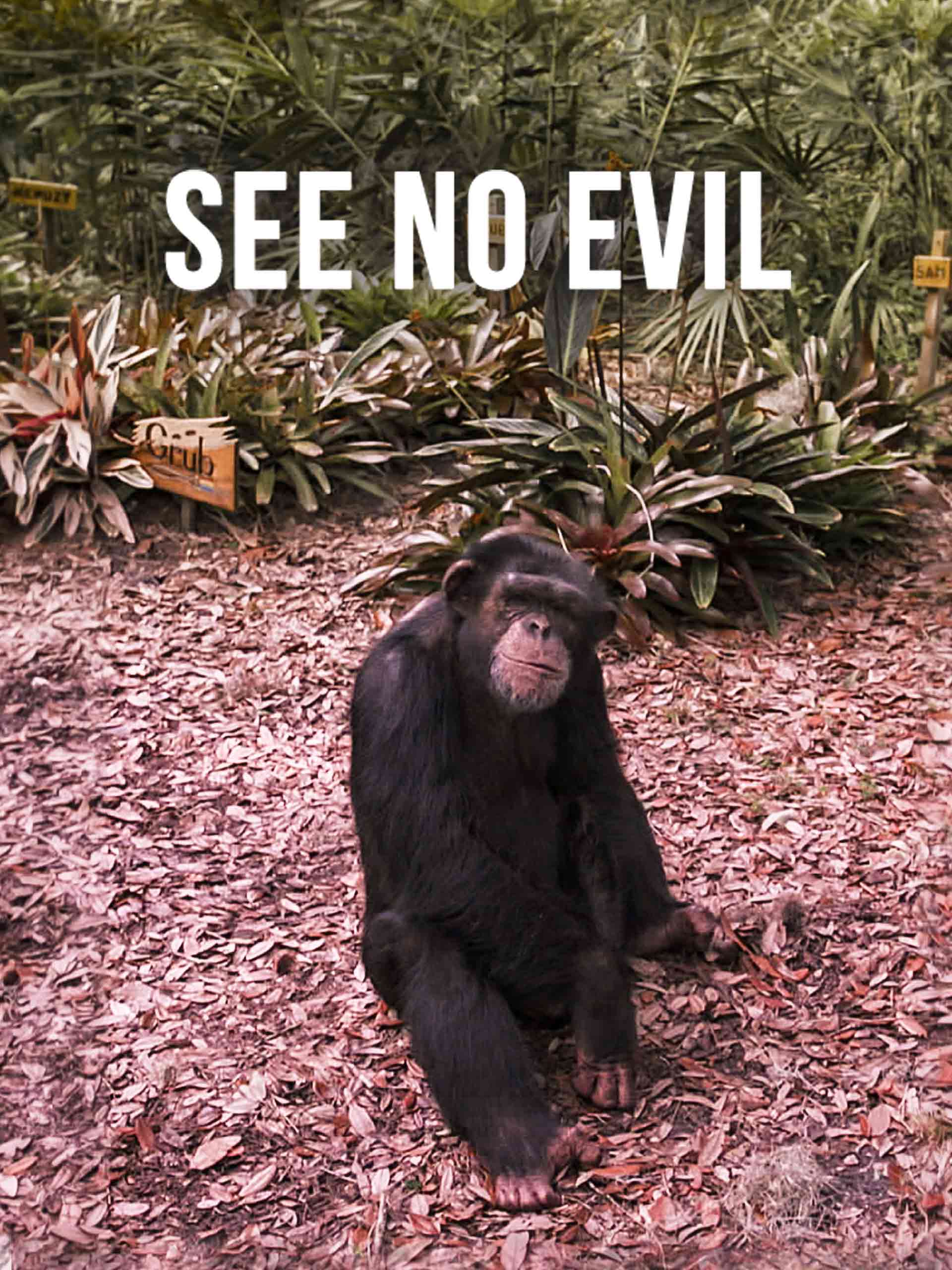 Prime Video: See No Evil