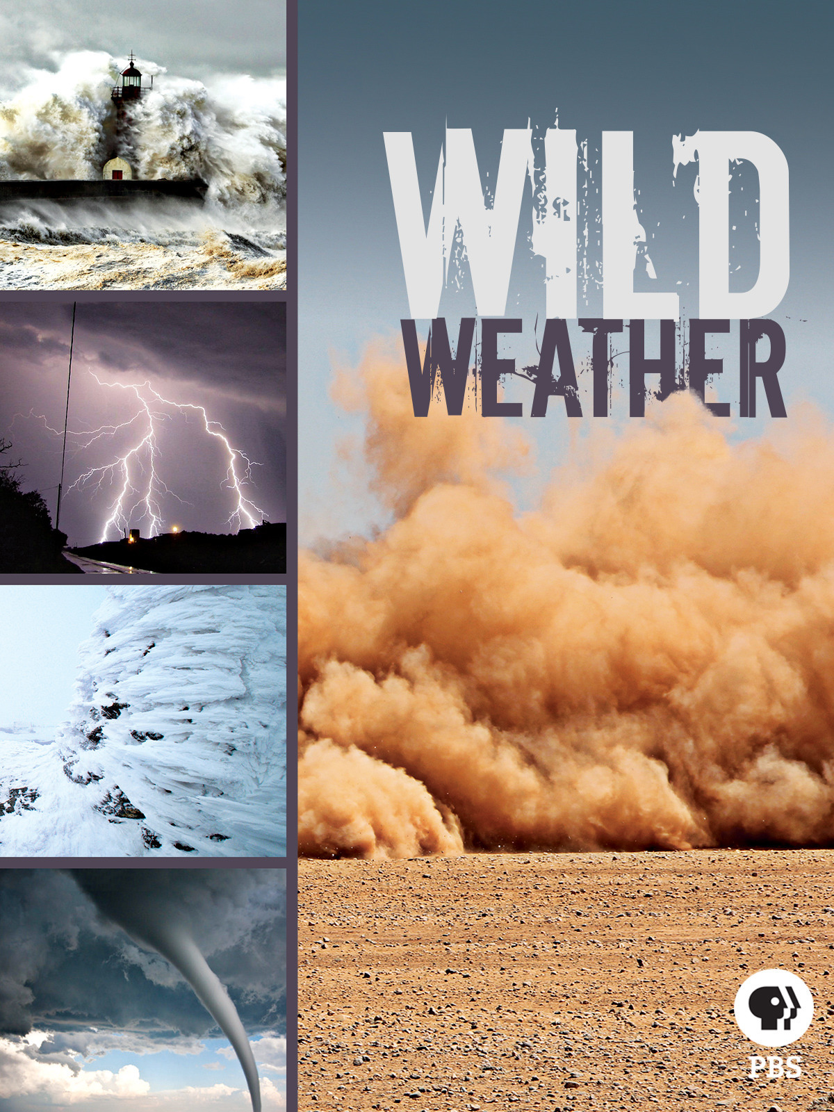 Prime Video: Wild Weather