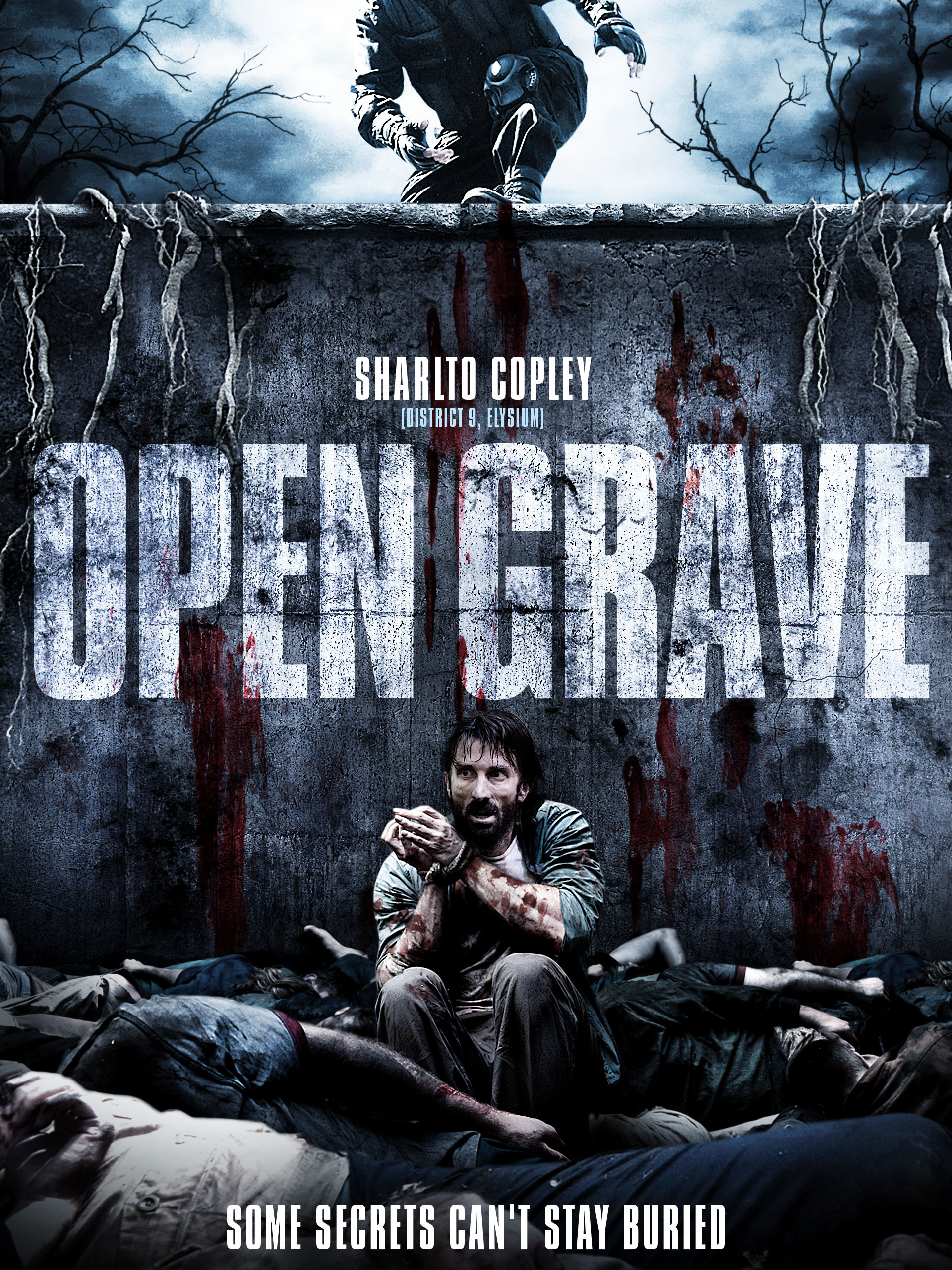 Prime Video: Open Grave