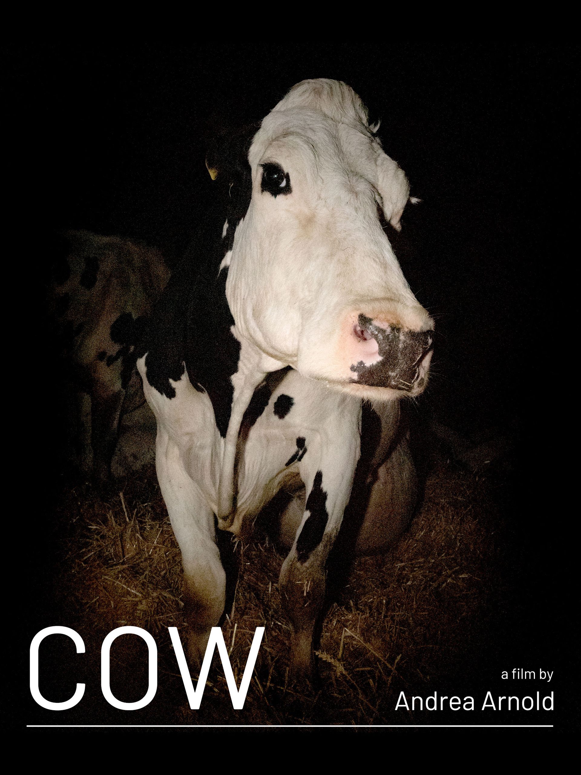 Prime Video: Cow