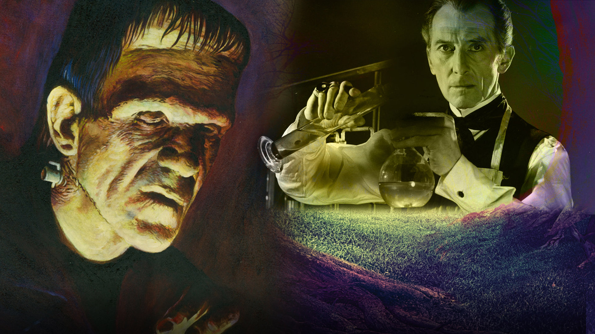 Watch The Strange Life of Dr. Frankenstein | Prime Video