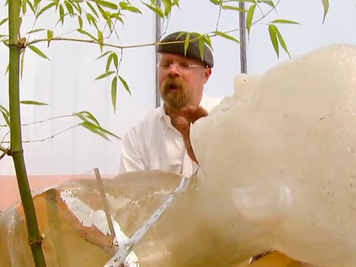 Amazon.com: MythBusters - Season 6 : Kari Byron, Adam Savage, Tory ...