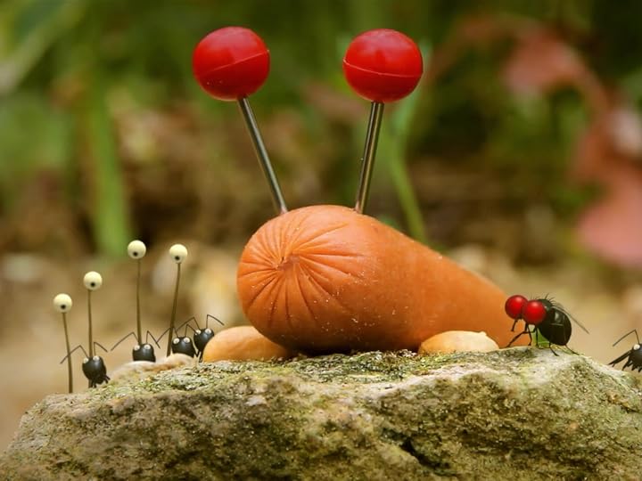 Prime Video: Minuscule - Saison 2