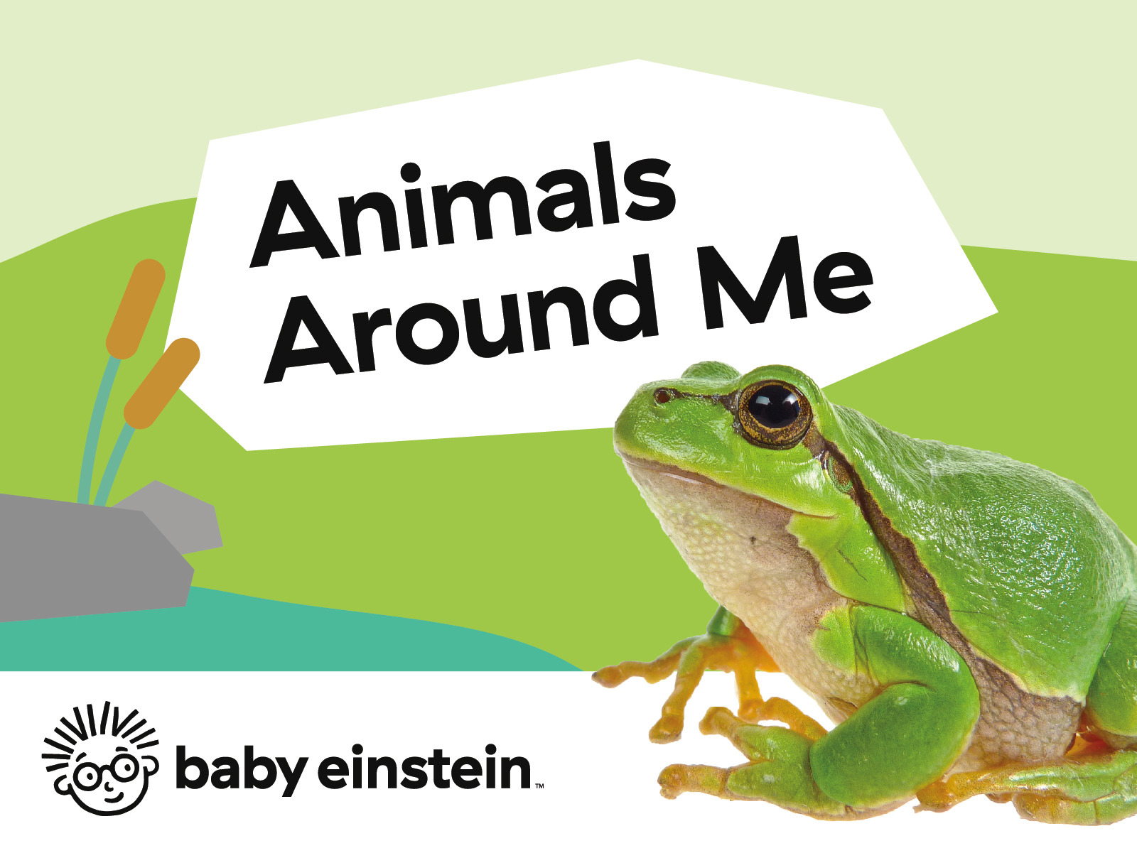 Baby Einstein Animals Around Me