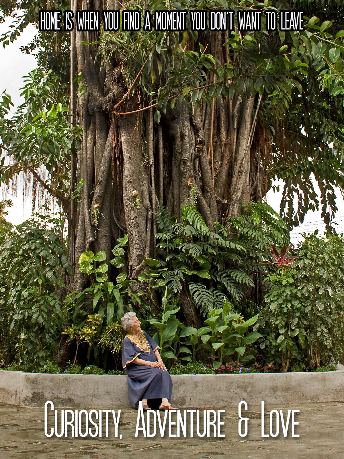 Prime Video: Curiosity, Adventure & Love