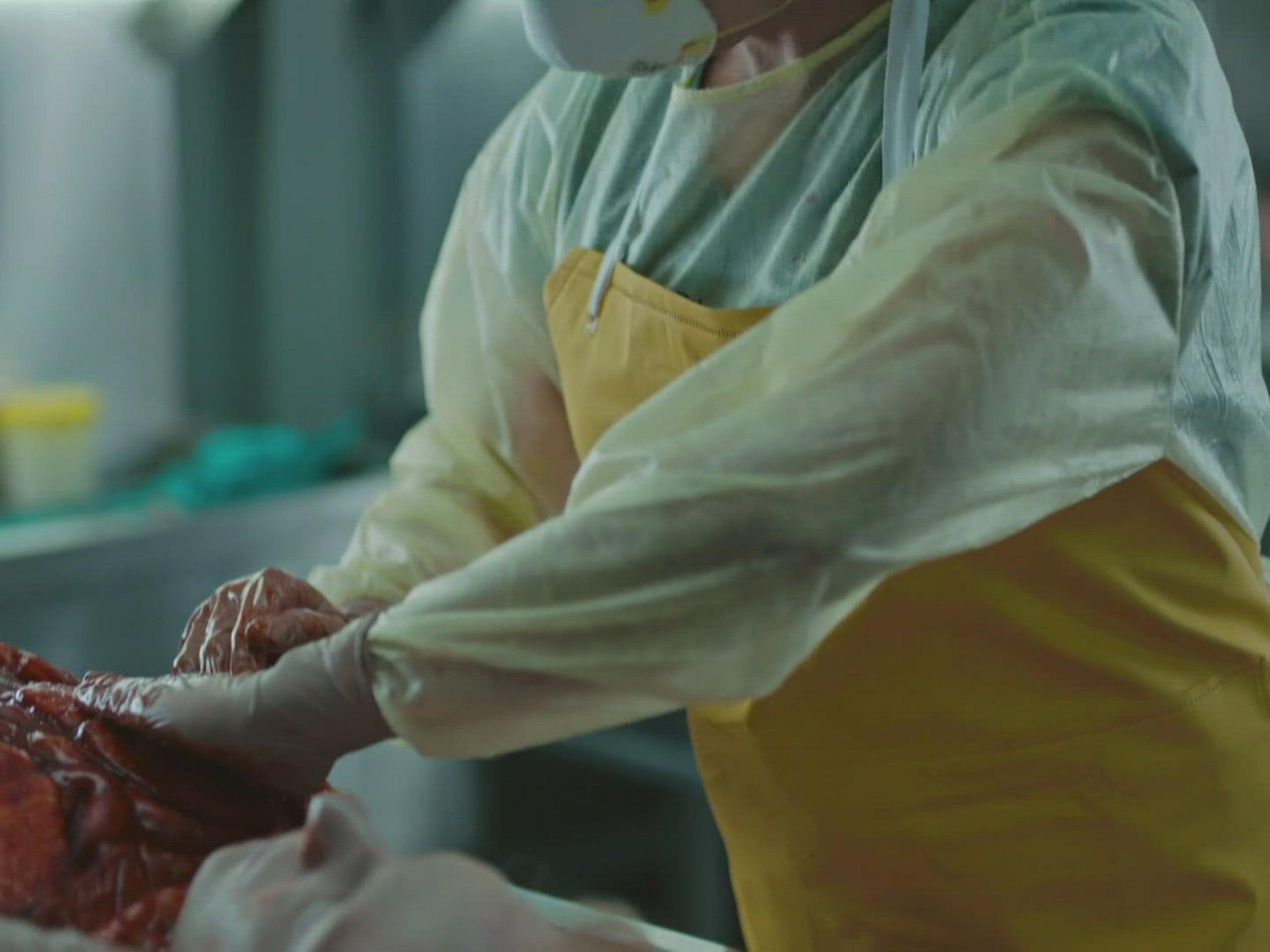 Prime Video: Coroner - Saison 2