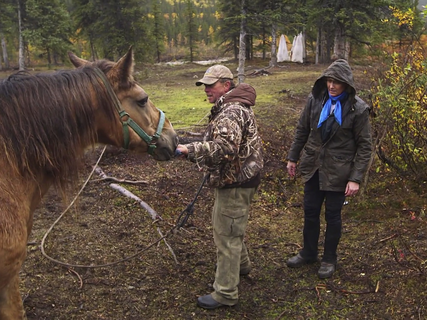 Prime Video: Dr. Dee: Alaska Vet - Season 1