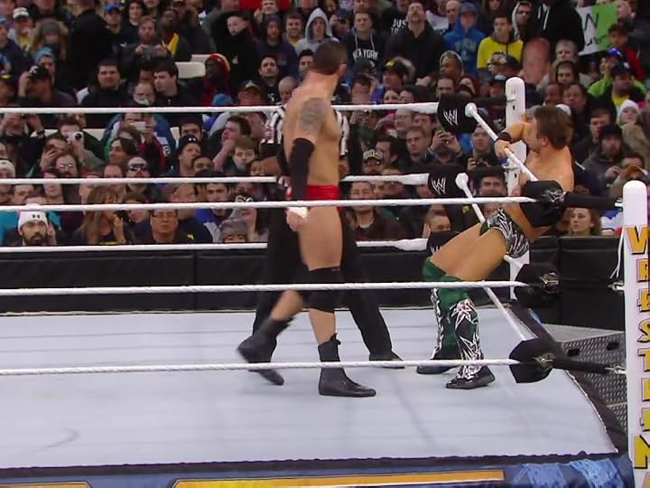 Sheamus Vs Undertaker Wrestlemania 29