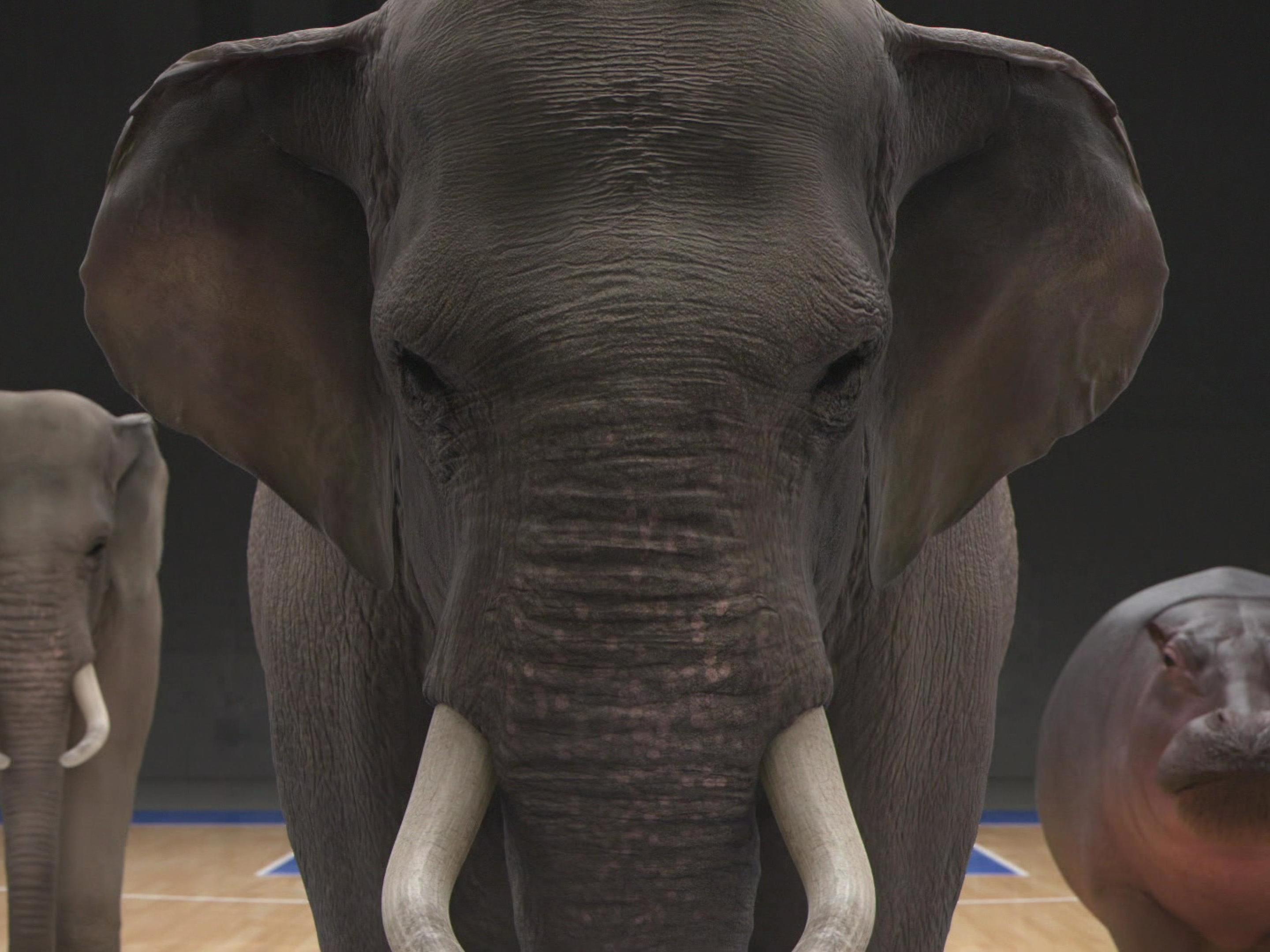 Prime Video: Athleticus Season 1