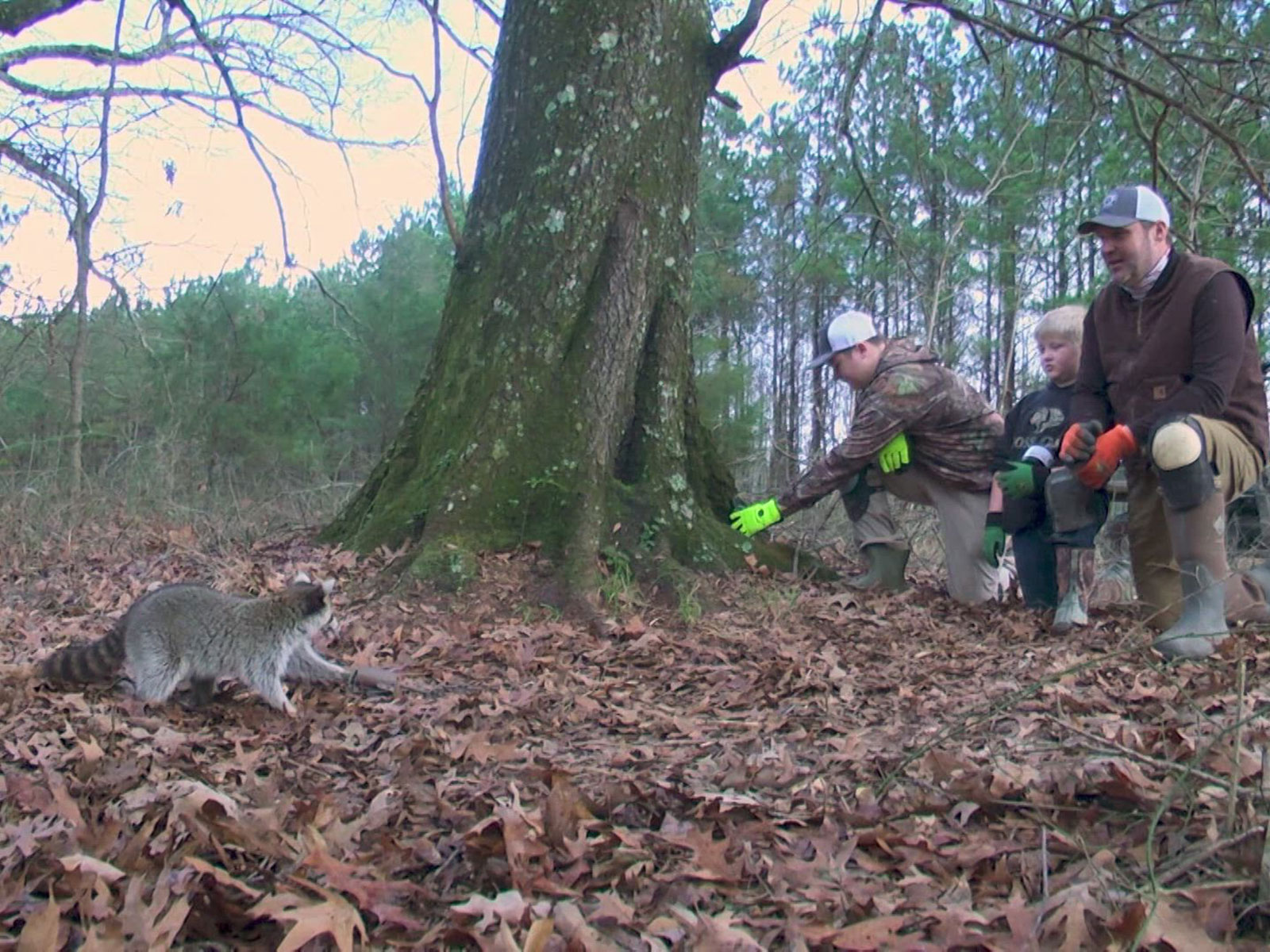 Prime Video: North American Trapper - Season 2