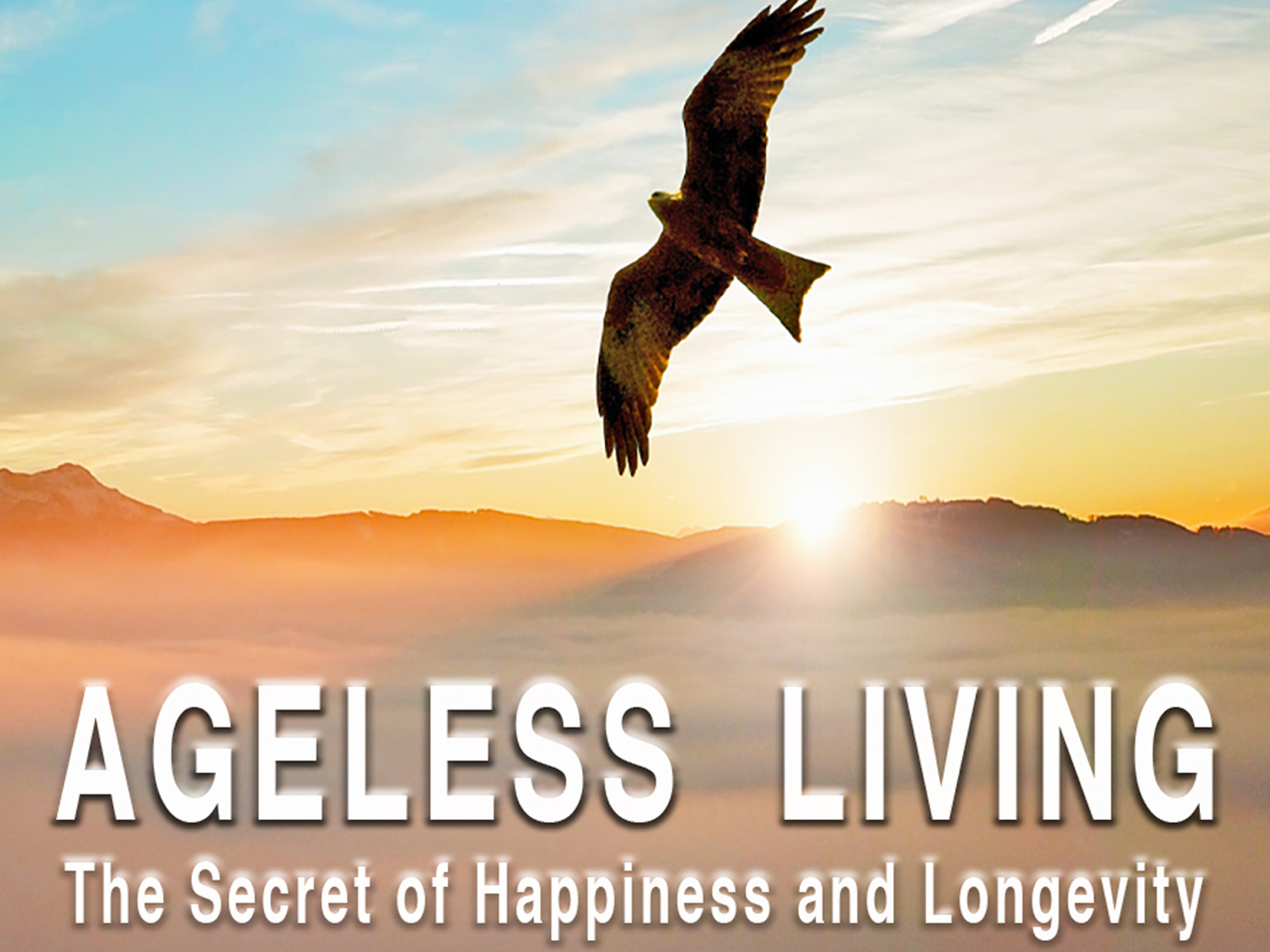 Prime Video: Ageless Living Series Season One