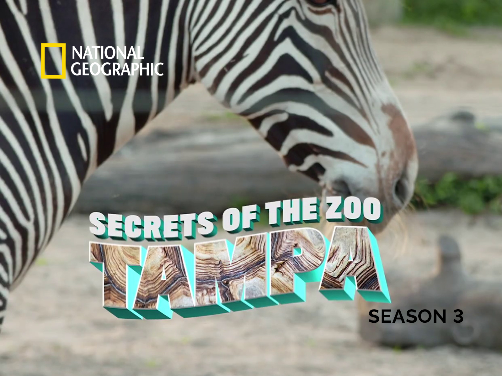Prime Video: Secrets of the Zoo: Tampa - Season 3