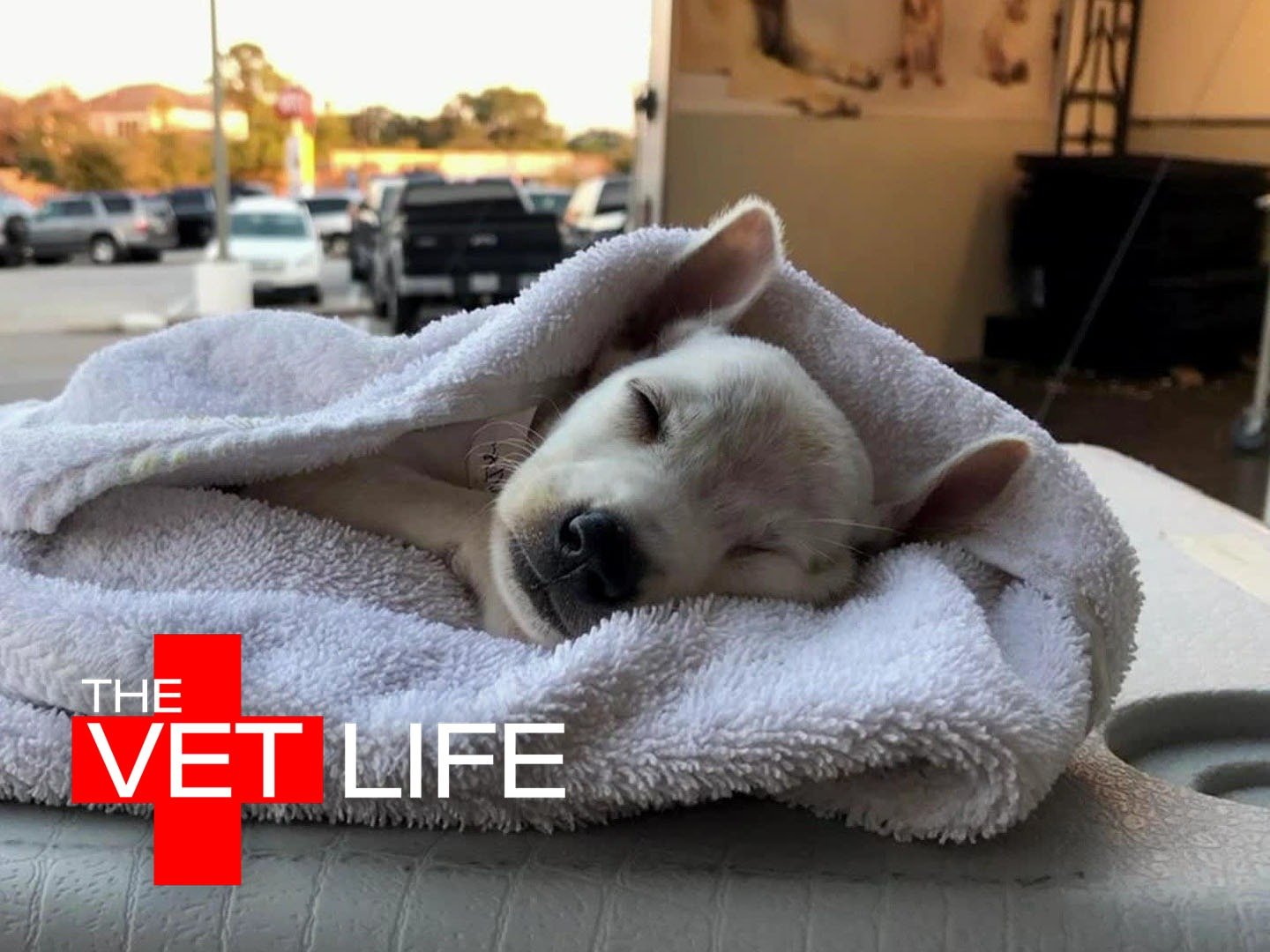 Prime Video: Season 3