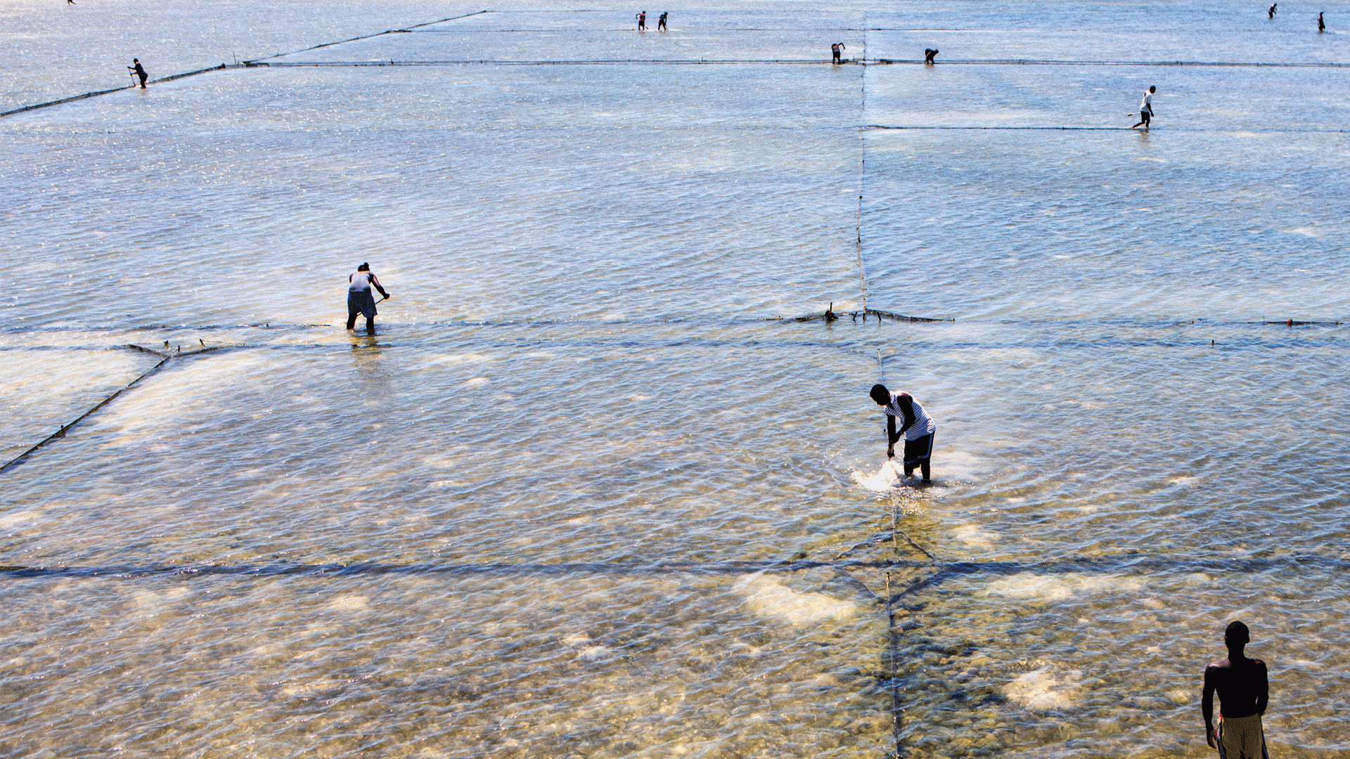 Watch Earth Focus | Prime Video