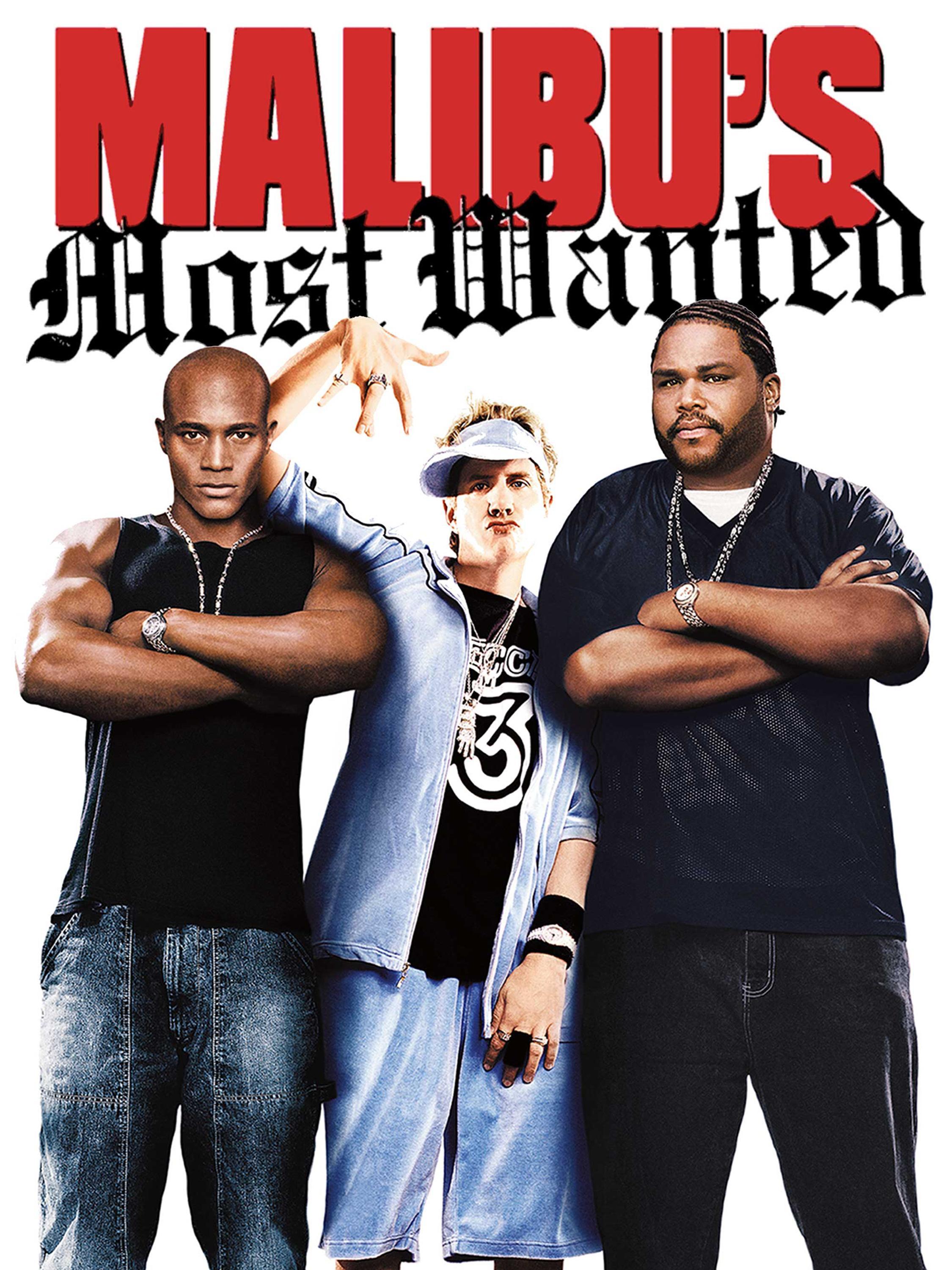 Prime Video: Malibu's Most Wanted