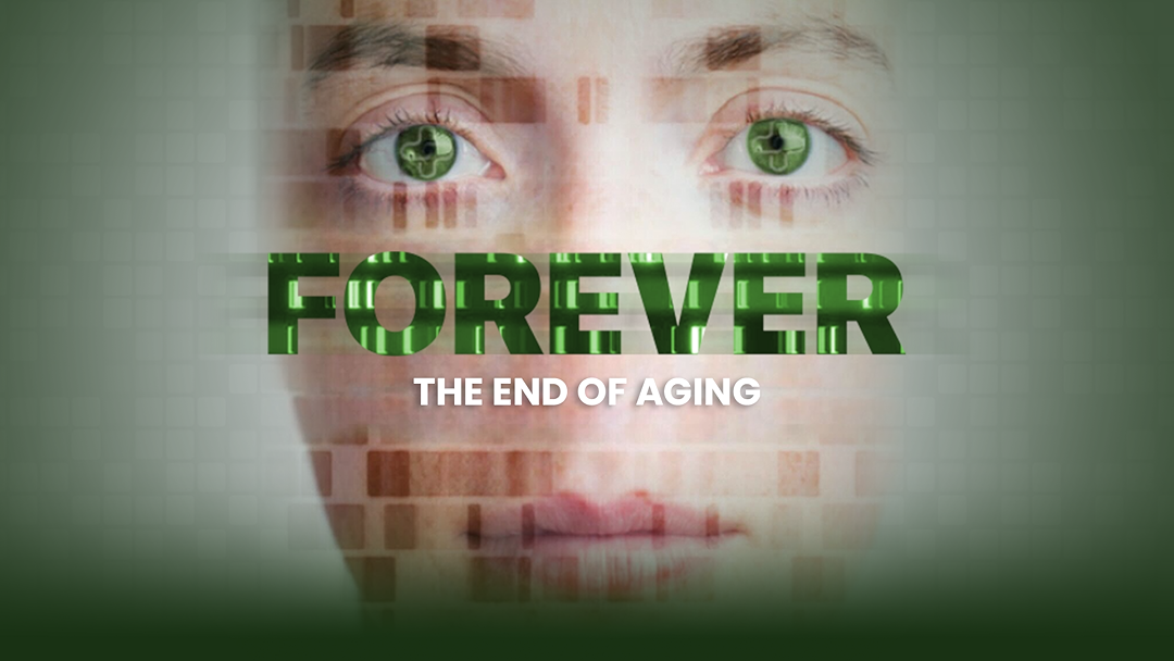 Prime Video: Forever